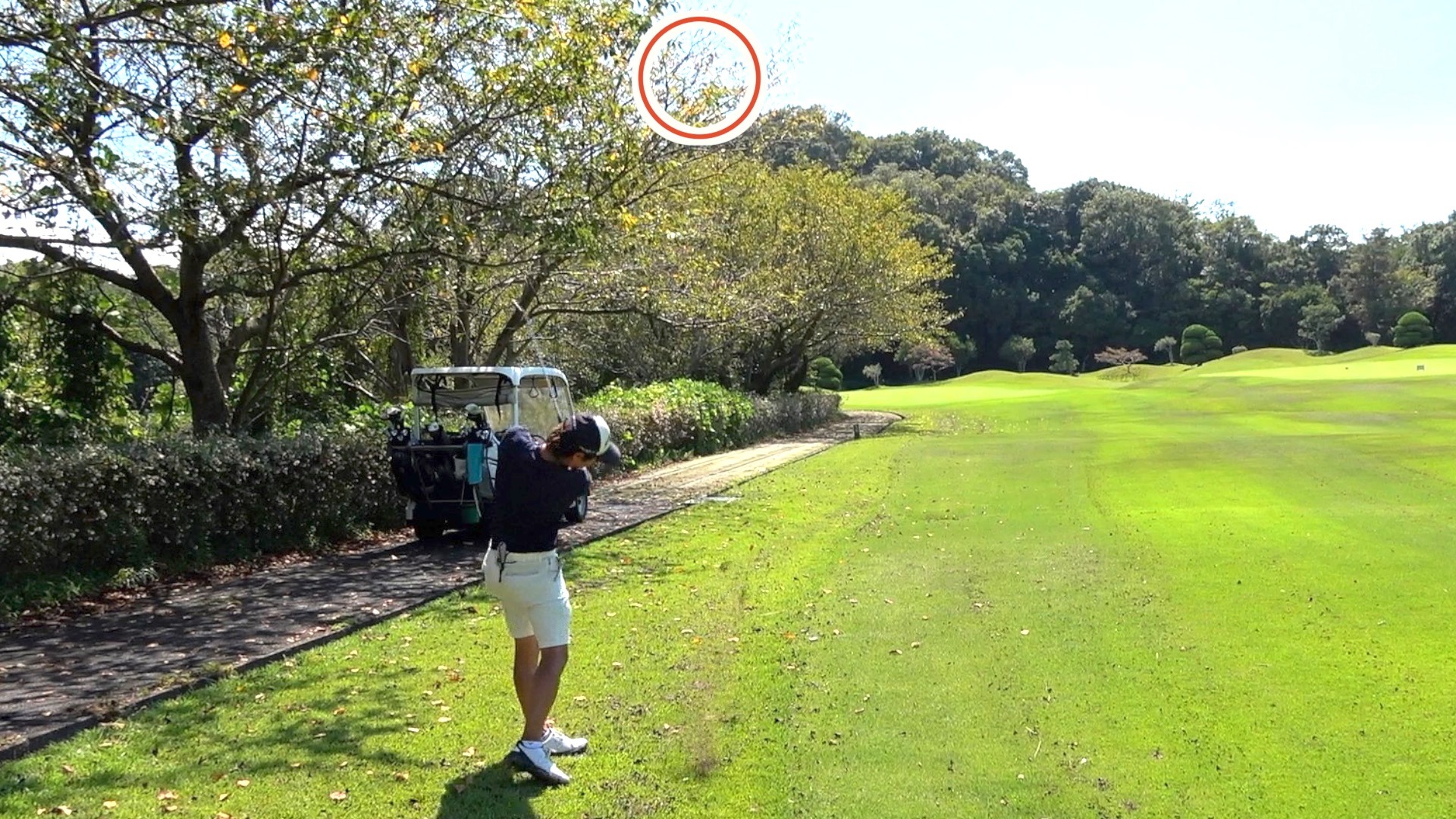 木超えも簡単！高い球の打ち方をシングルプレイヤーが紹介します！（AKI GOLF） - エキスパート - Yahoo!ニュース