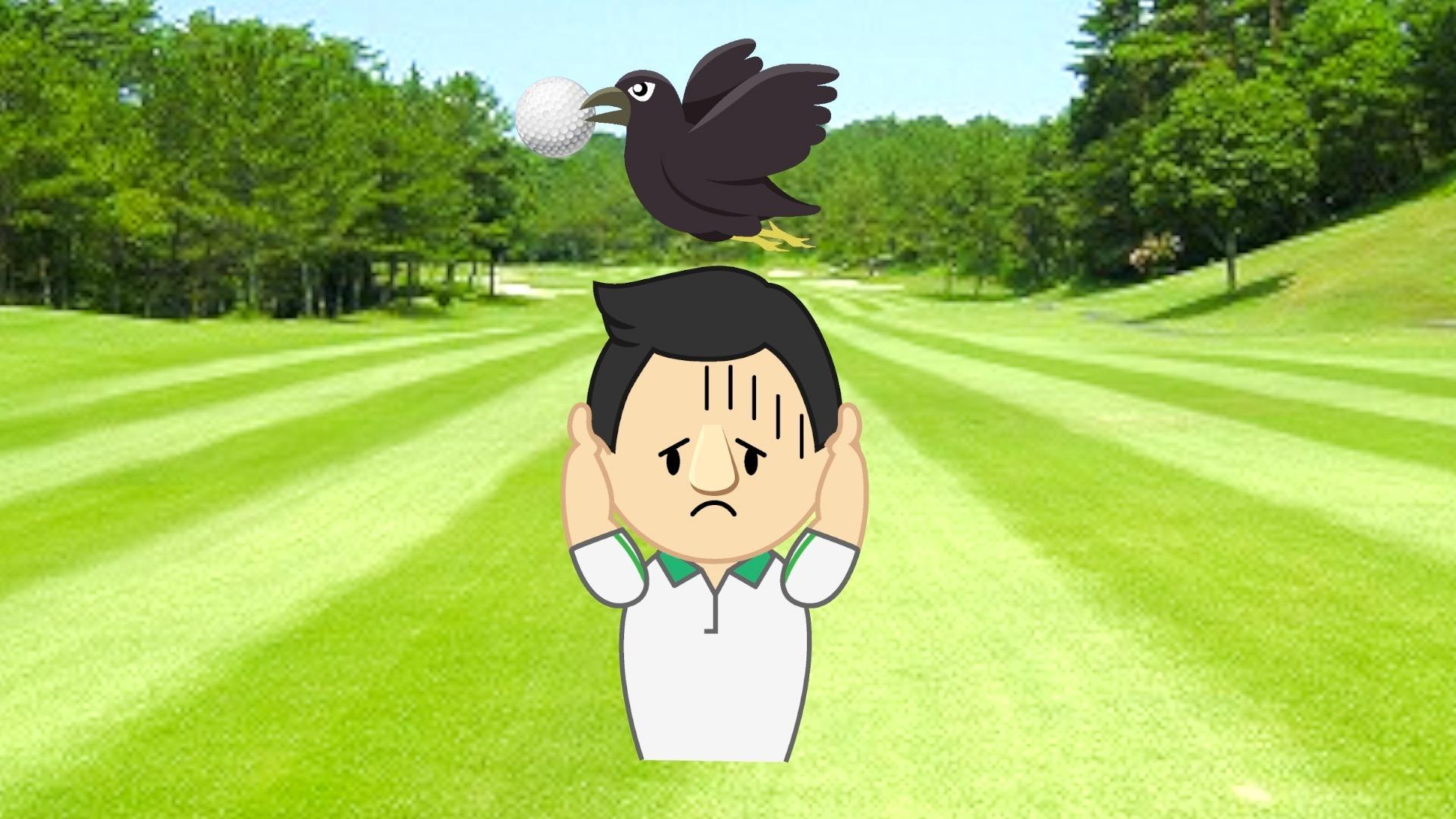 「カラスが自分のボールを咥えて持っていってしまった…」これってルールではどうなる？（AKI GOLF） - エキスパート - Yahoo!ニュース
