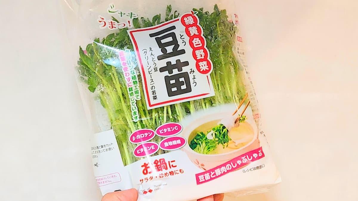 豆苗は調理前に「洗った方が良い？」or「洗わない方が良い？」八百屋からのお知らせ！そのワケとは（青髪のテツ） - エキスパート - Yahoo!ニュース