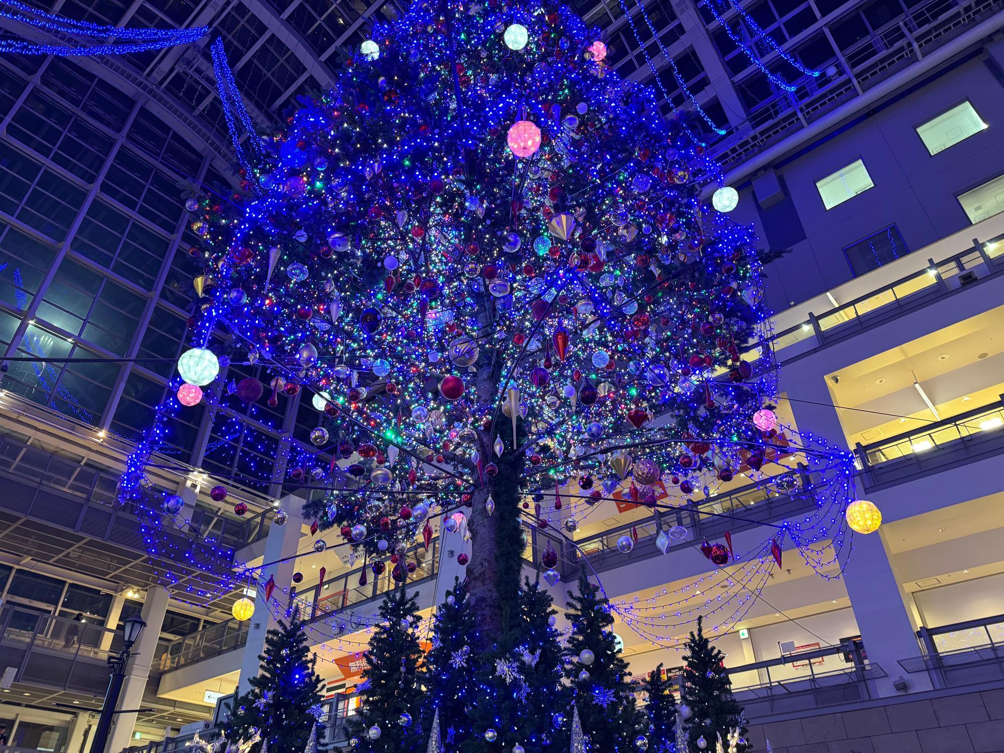 【札幌市中央区】今年もサッポロファクトリーのジャンボツリーが綺麗に点灯しています。（Ayako） - エキスパート - Yahoo!ニュース