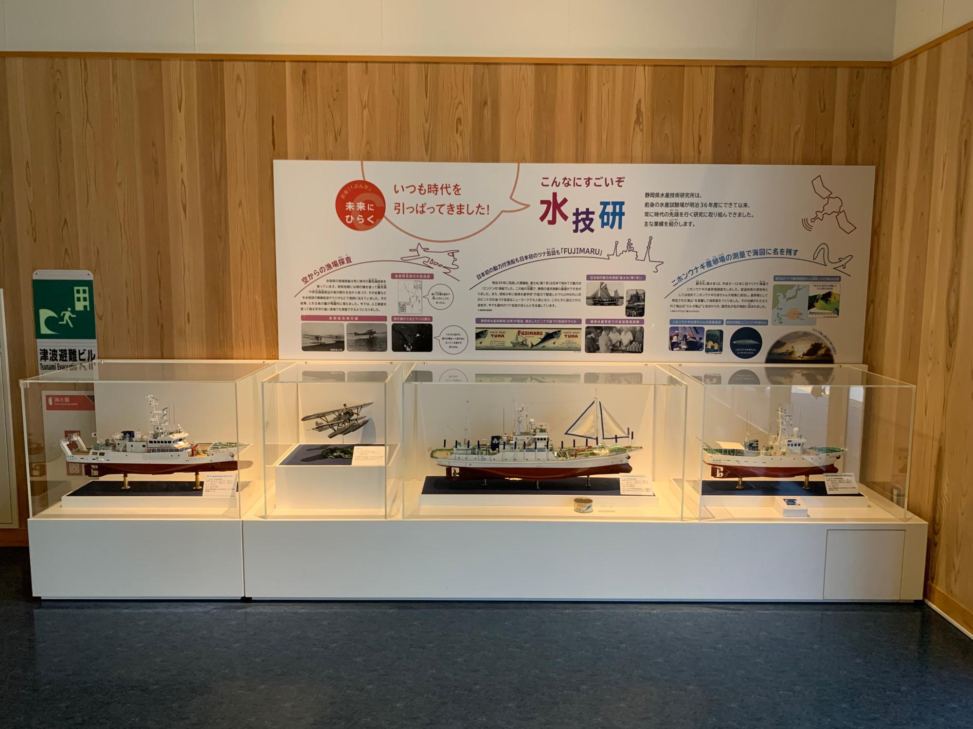 【焼津市】夏休みに行きたい！「展示室 うみしる」では海に関することが無料で学べちゃいます！（azu） - エキスパート - Yahoo!ニュース