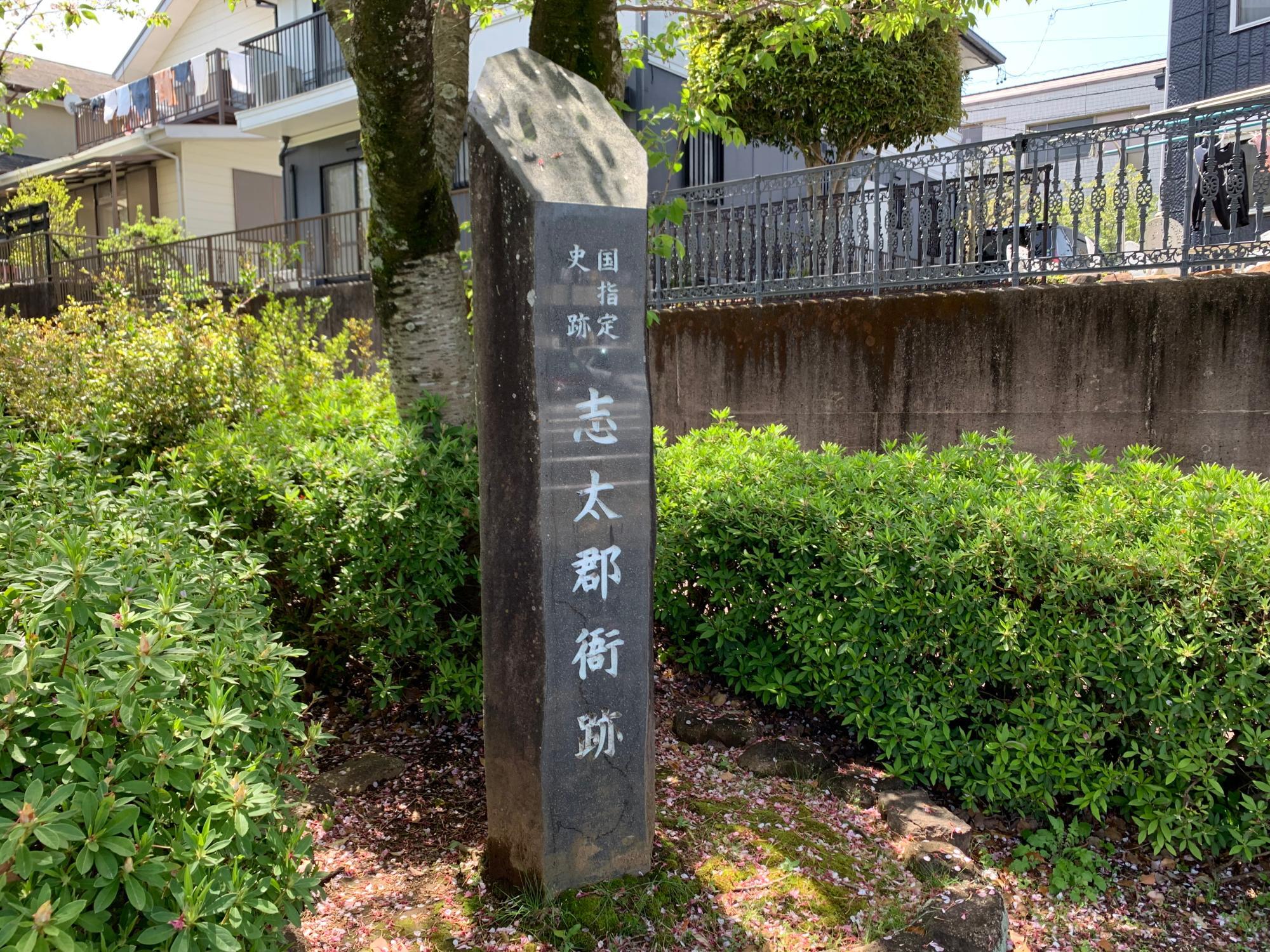 【藤枝市】志太ぐんが特別展示会「えびね蘭と万葉の植物展」が志太郡衙で4月26日・27日に開催！（azu） - エキスパート - Yahoo!ニュース