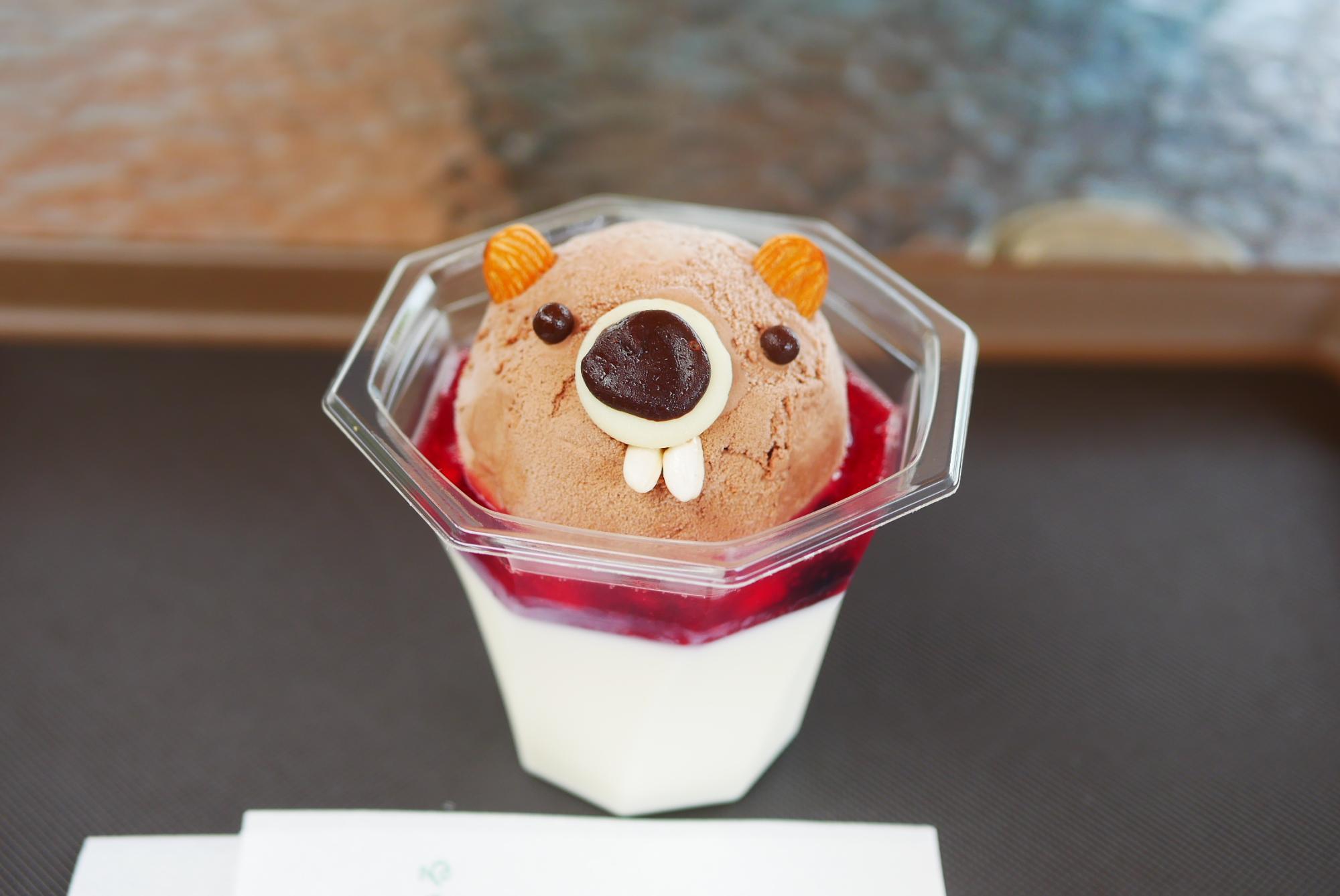 【那須町】那須どうぶつ王国に「ウッドチャック」が仲間入り！マヌルネコヒストリー展も7月6日まで開催中（フルリーナYoc） - エキスパート - Yahoo!ニュース