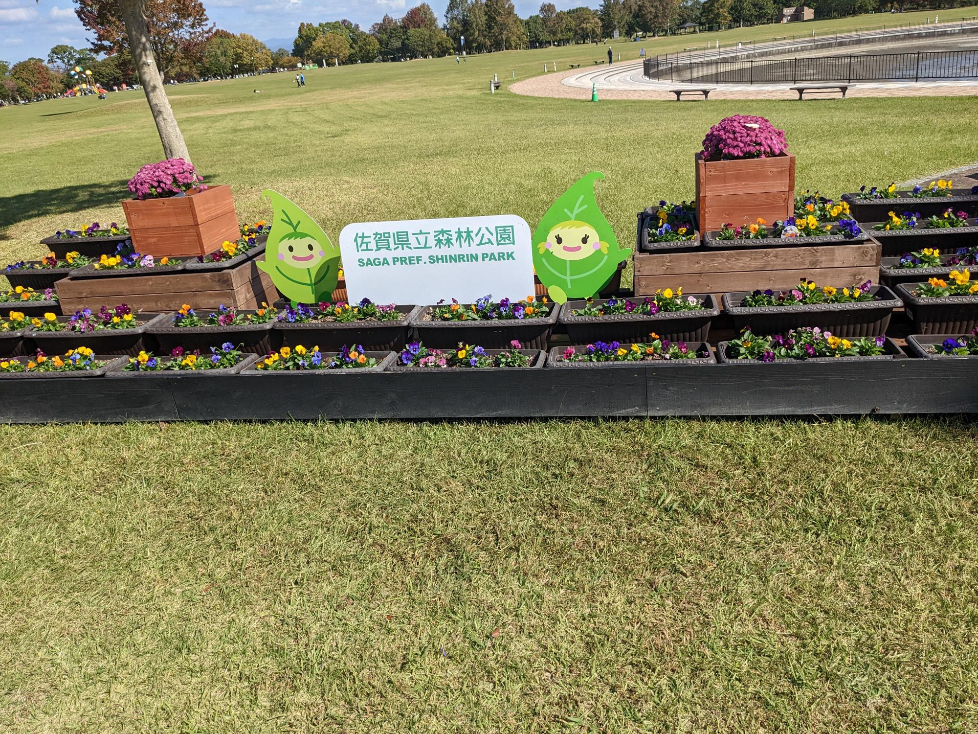 【佐賀市】巨人VSDeNA戦が佐賀で4/19（水）開催！ 14年ぶり森林公園の球場で！（hiro） - エキスパート - Yahoo!ニュース