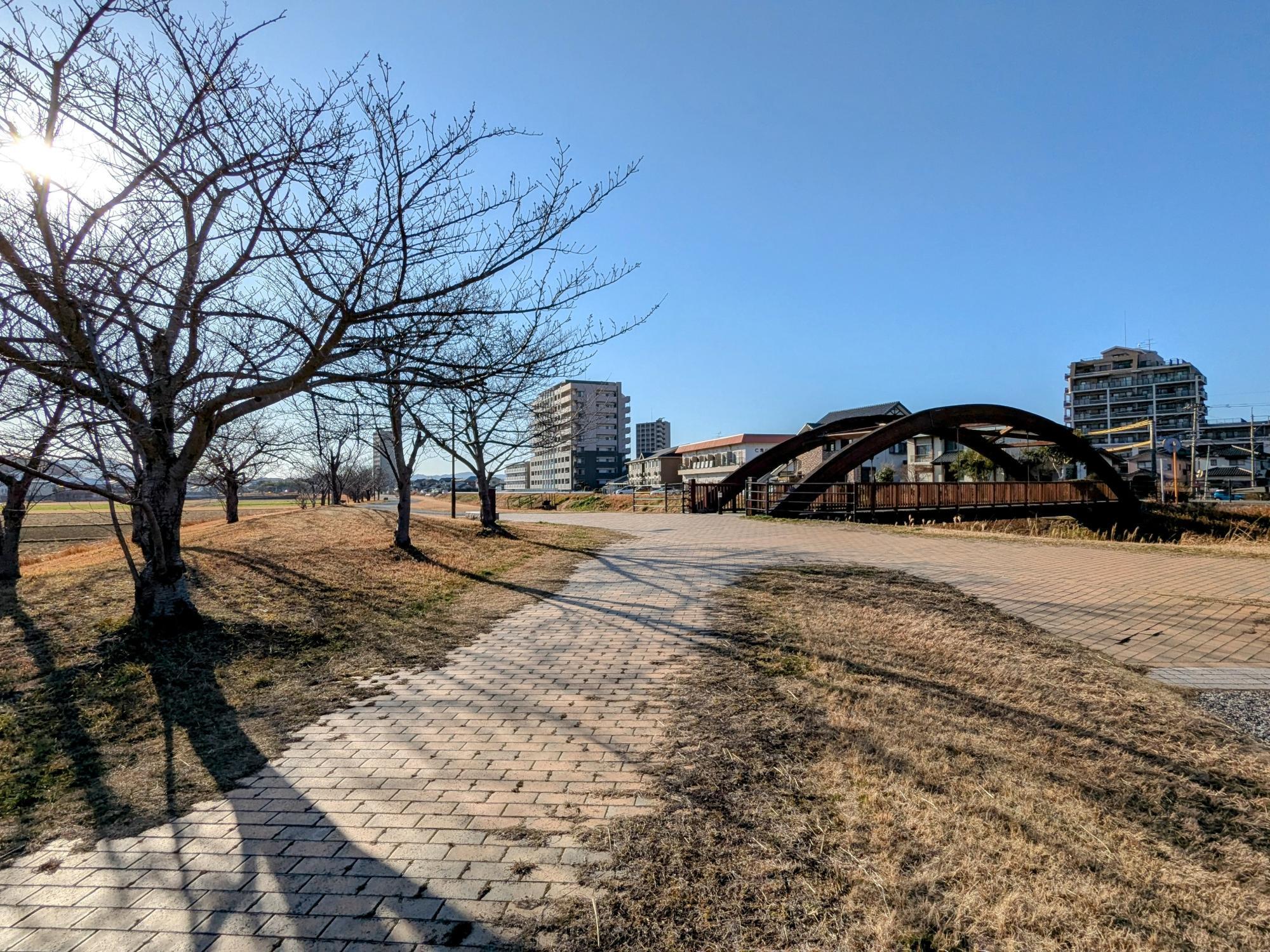 【宗像市】自然に調和する美しい木製の橋♫近い春には桜並木も咲きほこるオススメの散策コースです！（kekko） - エキスパート - Yahoo!ニュース