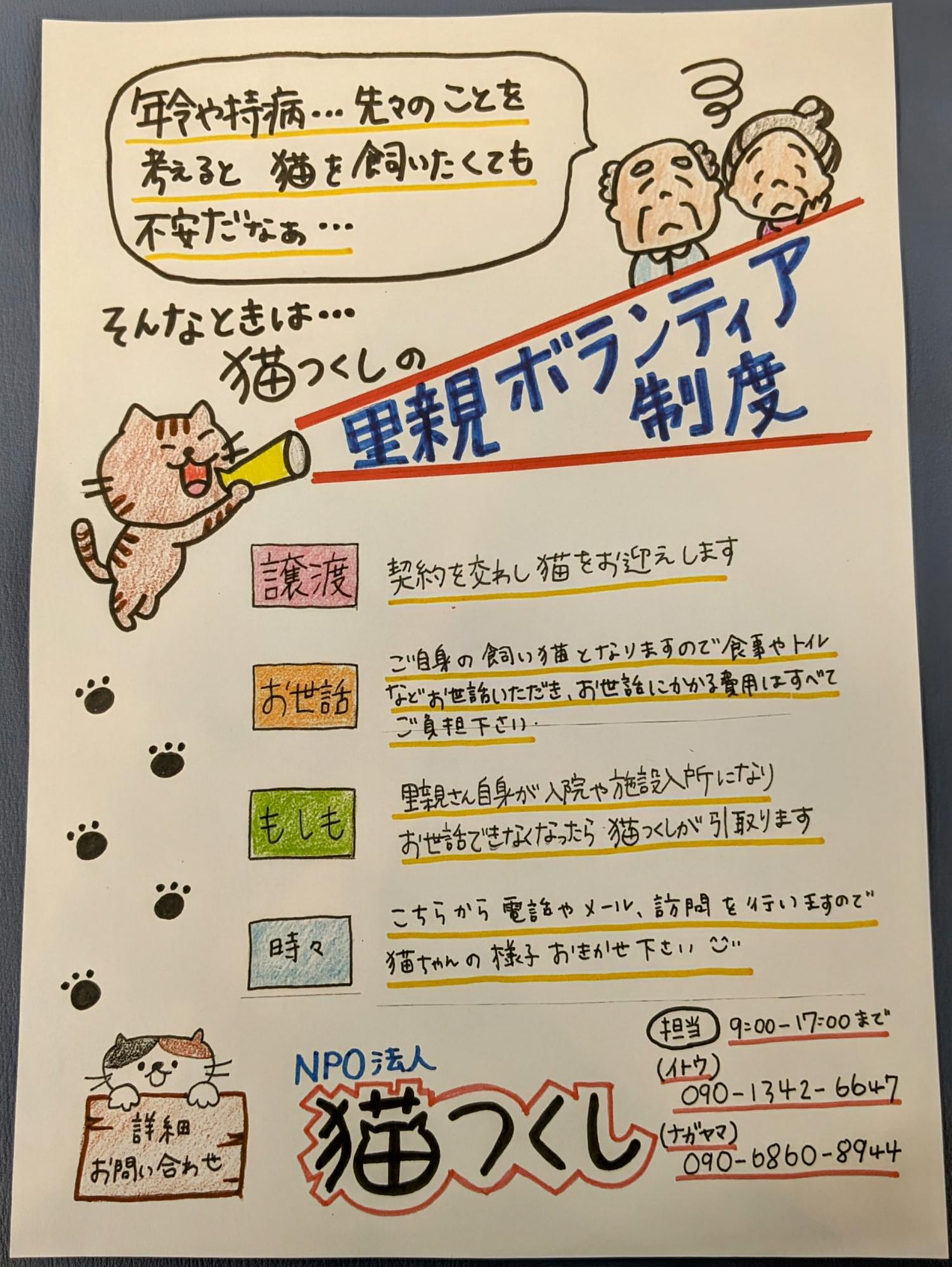 【宗像市】保護猫支援NPO「猫つくし」♫永年預かりシステム実施で高齢化社会と地域猫の課題に取り組む！（kekko） - エキスパート - Yahoo!ニュース