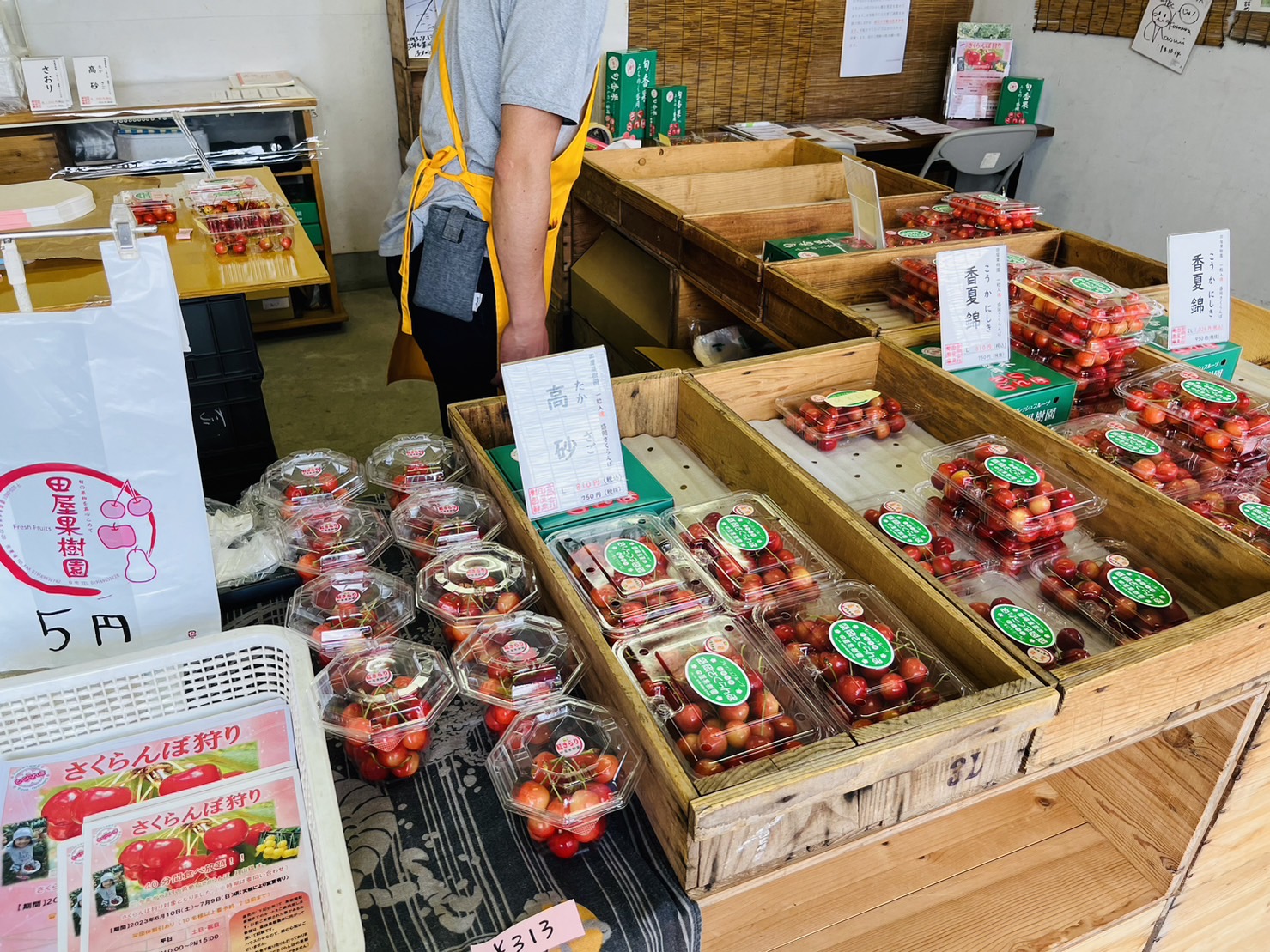 【盛岡市】今年は1カ所のみのさくらんぼ狩り！幻の品種「羽陽寿」が食べられる！（こぎ） - エキスパート - Yahoo!ニュース
