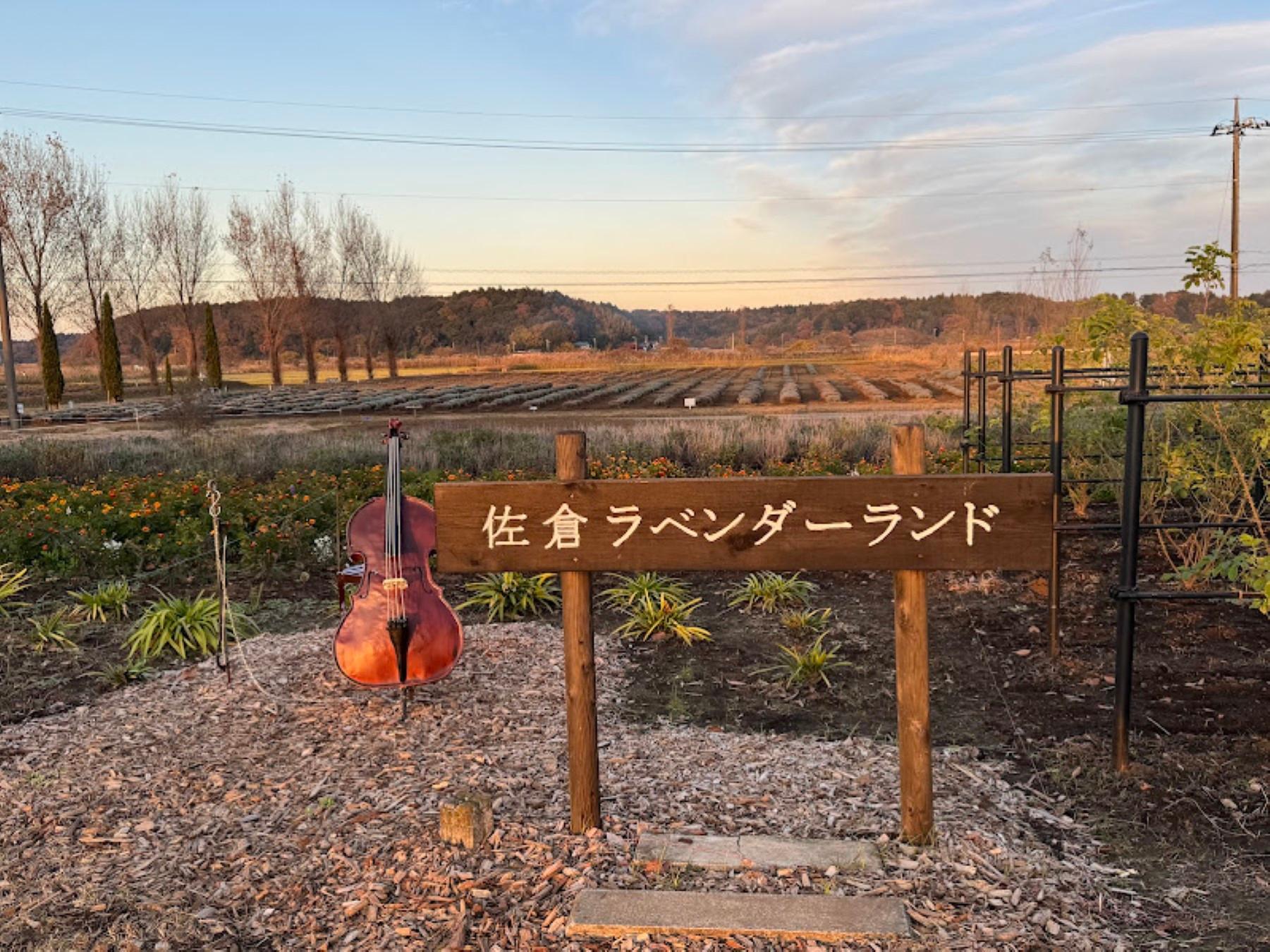 【佐倉市】12月14日（土）「佐倉ラベンダーランド クリスマスマーケット」が開催されます！！（Maguo） - エキスパート - Yahoo!ニュース