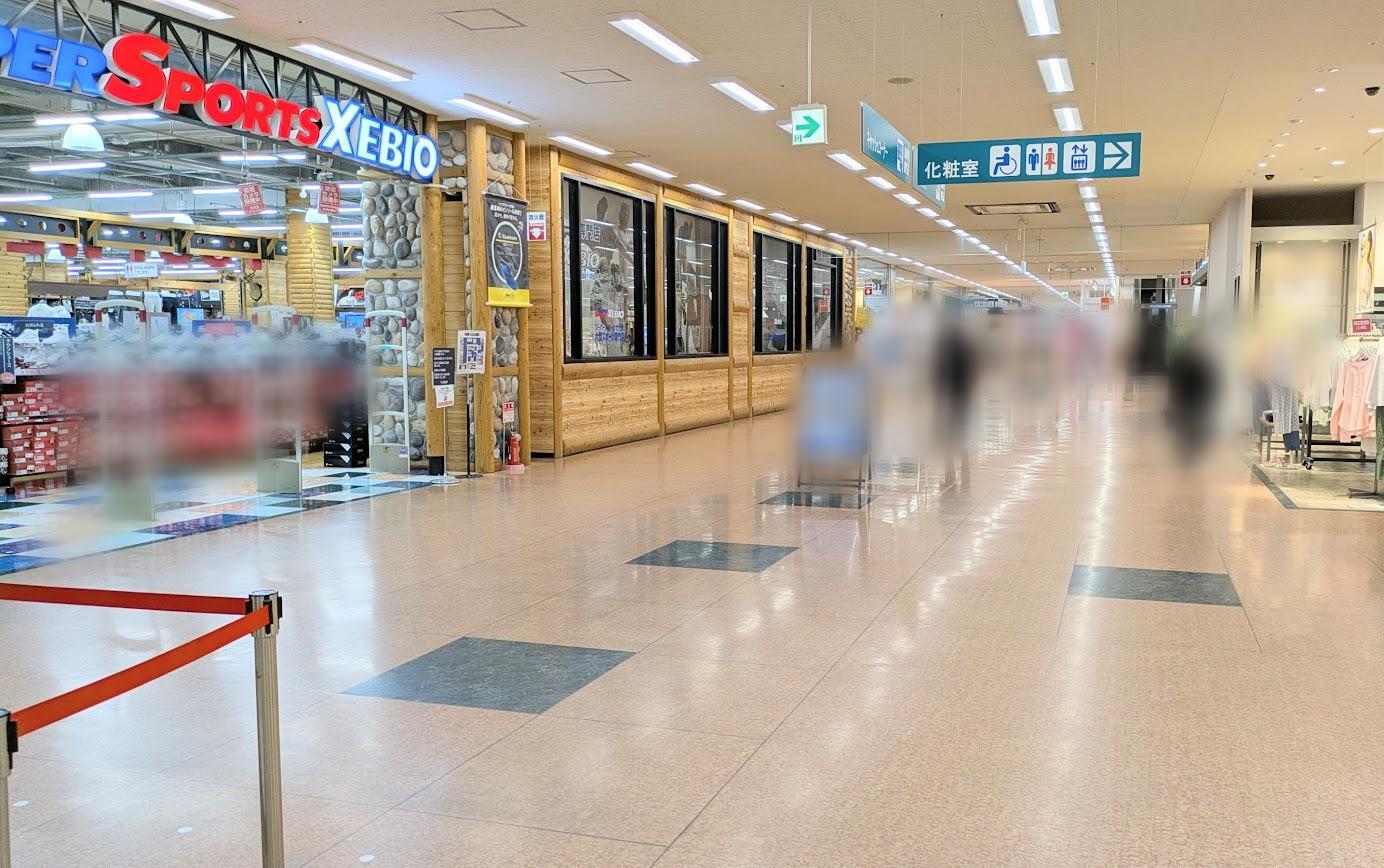 【新潟市】ねこ好きさん集まれ♪「アピタ新潟西店」にて「ねこmarche」が開催されます。（milala） - エキスパート - Yahoo!ニュース