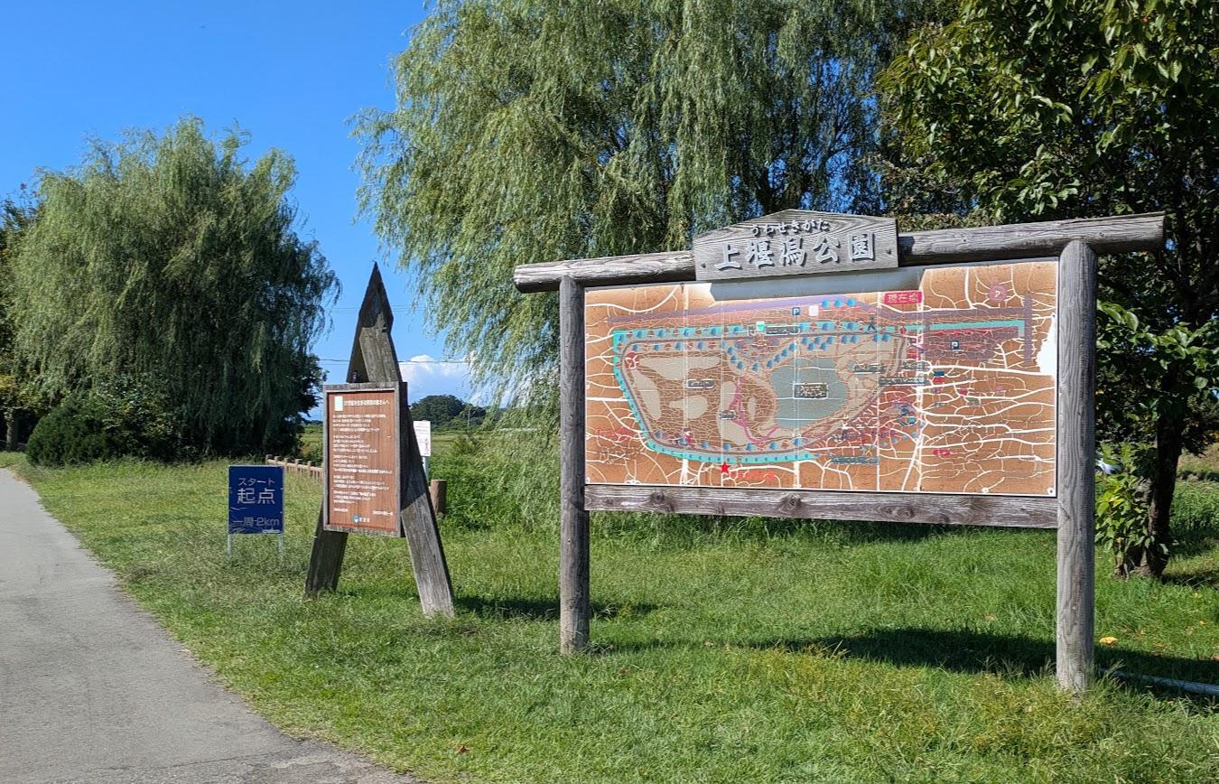 【新潟市】「わらアートまつり」も開催中の「上堰潟公園」。2025年のコスモスの様子は…？（milala） - エキスパート - Yahoo!ニュース