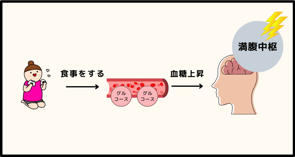 【満腹中枢と摂食中枢】ｰなんでお腹が空くの？ｰ（おがちゃん先生） エキスパート Yahooニュース
