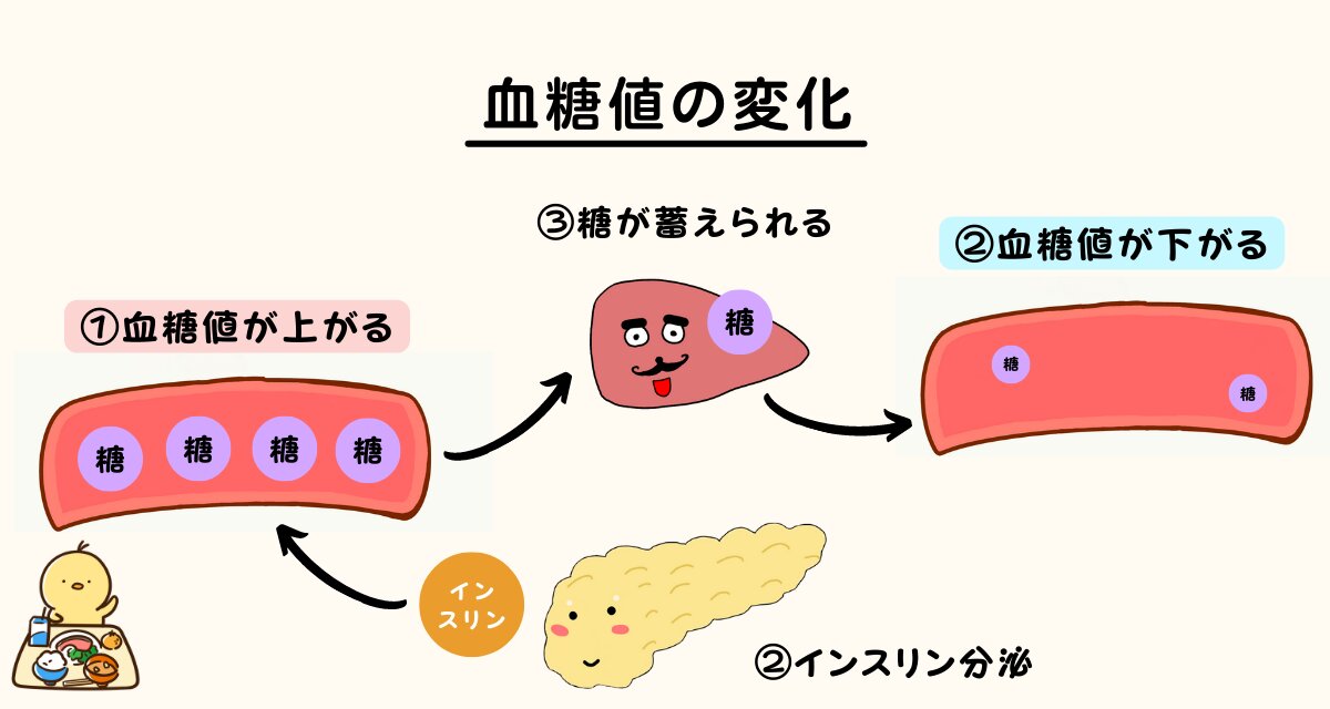 それ「血糖値の異常」のサインかも！ 血糖値が高い・低いとどうなる？ 分かりやすく解説！（おがちゃん先生） エキスパート
