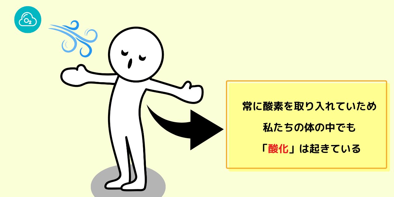 「老化」を予防するための「抗酸化作用」とは? 健康のために欠かせない大切な機能!(おがちゃん先生) エキスパート Yahooニュース