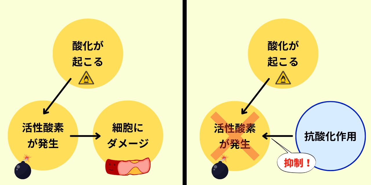 「老化」を予防するための「抗酸化作用」とは? 健康のために欠かせない大切な機能!(おがちゃん先生) エキスパート Yahooニュース