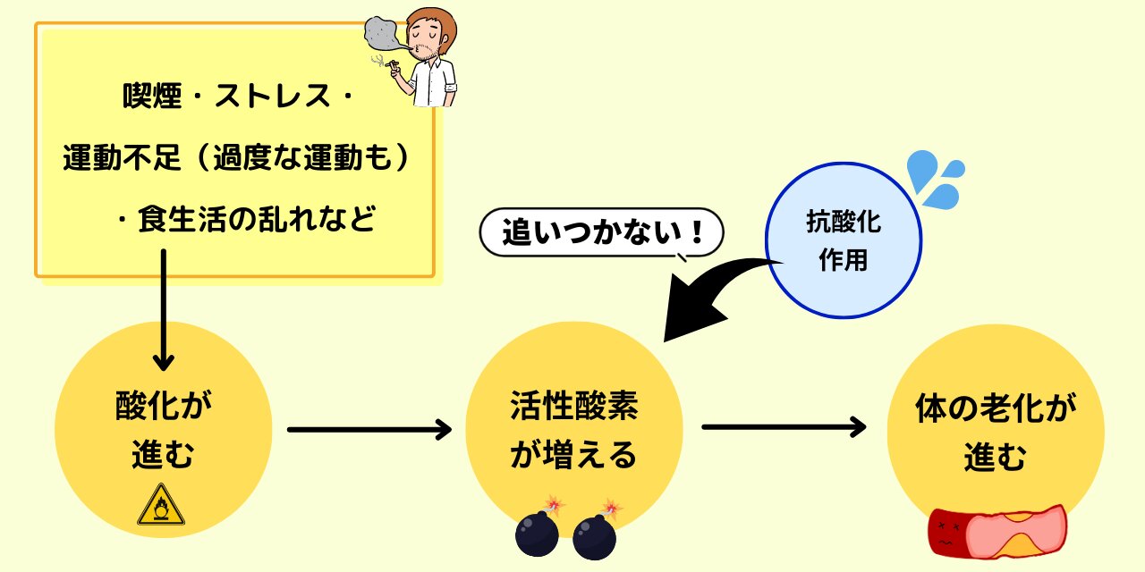 「老化」を予防するための「抗酸化作用」とは？ 健康のために欠かせない大切な機能！（おがちゃん先生） エキスパート Yahooニュース