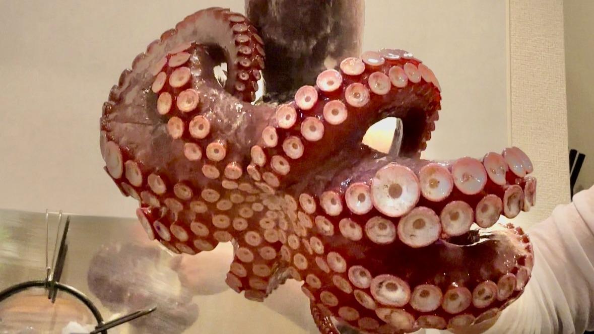 ダイソーで100円なのに驚愕！本気で釣れる新アイテムの全貌（リコ） - エキスパート - Yahoo!ニュース