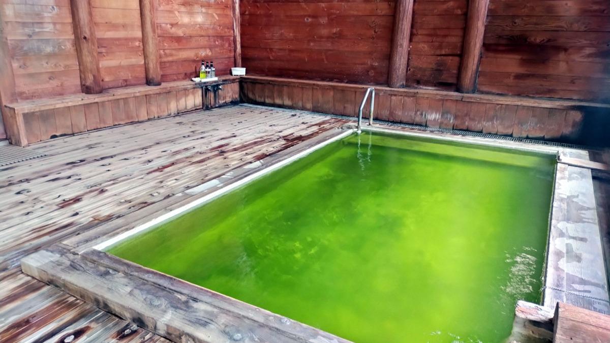 【宿泊記】翡翠色の名湯「熊の湯温泉 熊の湯ホテル」の魅力【日帰り入浴もOK】（satochin） - エキスパート - Yahoo!ニュース