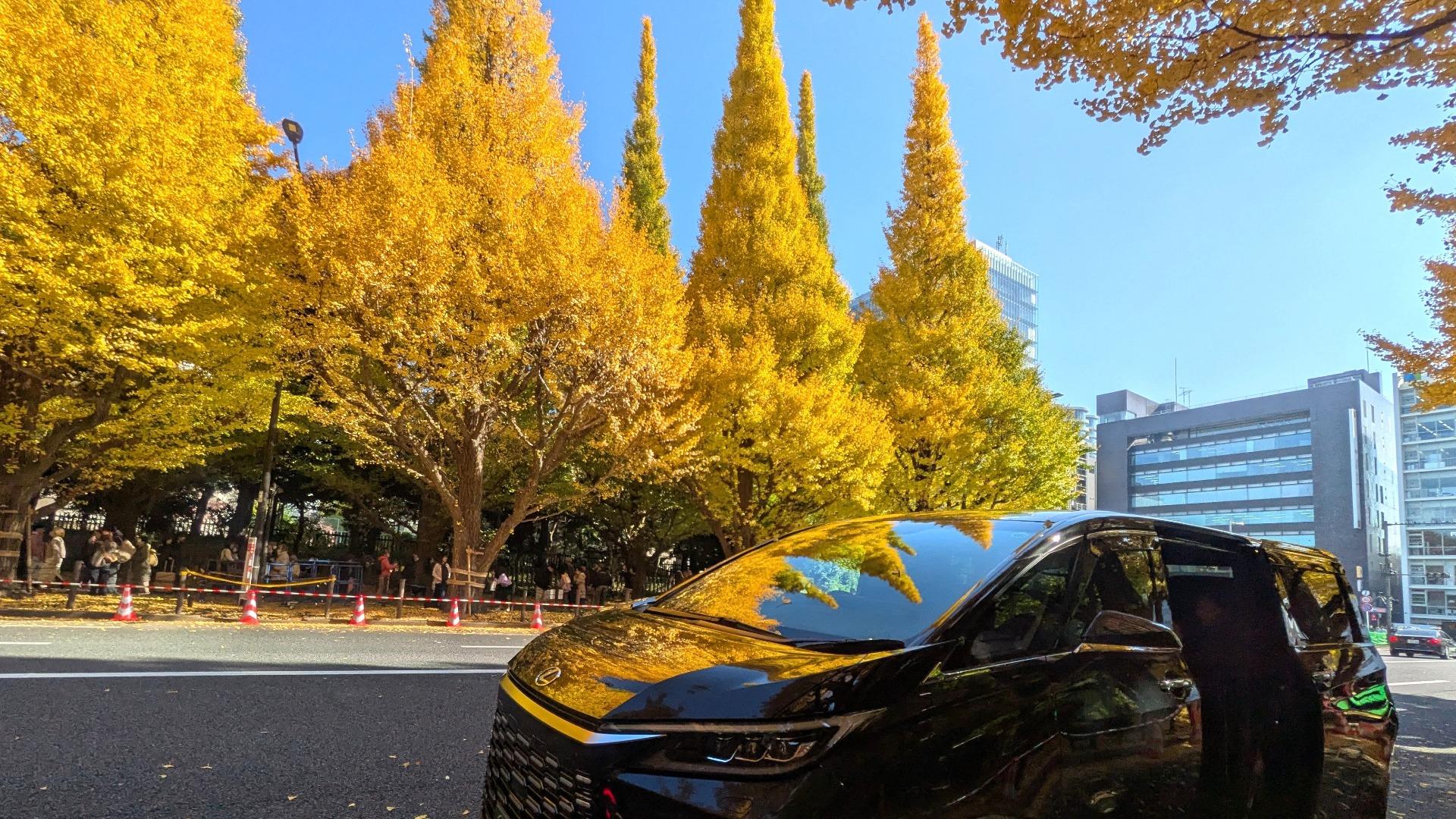 今が見ごろの都内紅葉を「TOKYO CHAUFFEUR SERVICE」で満喫してきた！（satochin） - エキスパート - Yahoo!ニュース