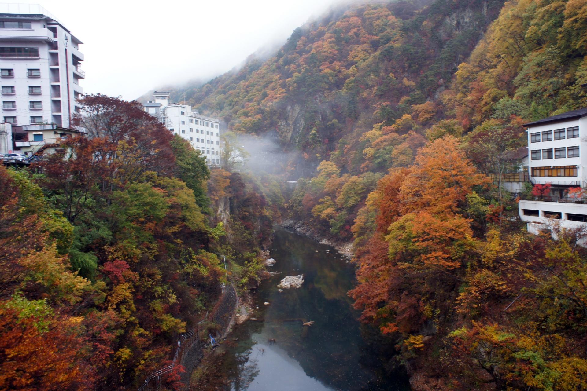 ソロ温泉の初心者にもおすすめ！「ひとり旅のハードルが低い温泉地」5選（関東近郊編）（高橋一喜） - エキスパート - Yahoo!ニュース