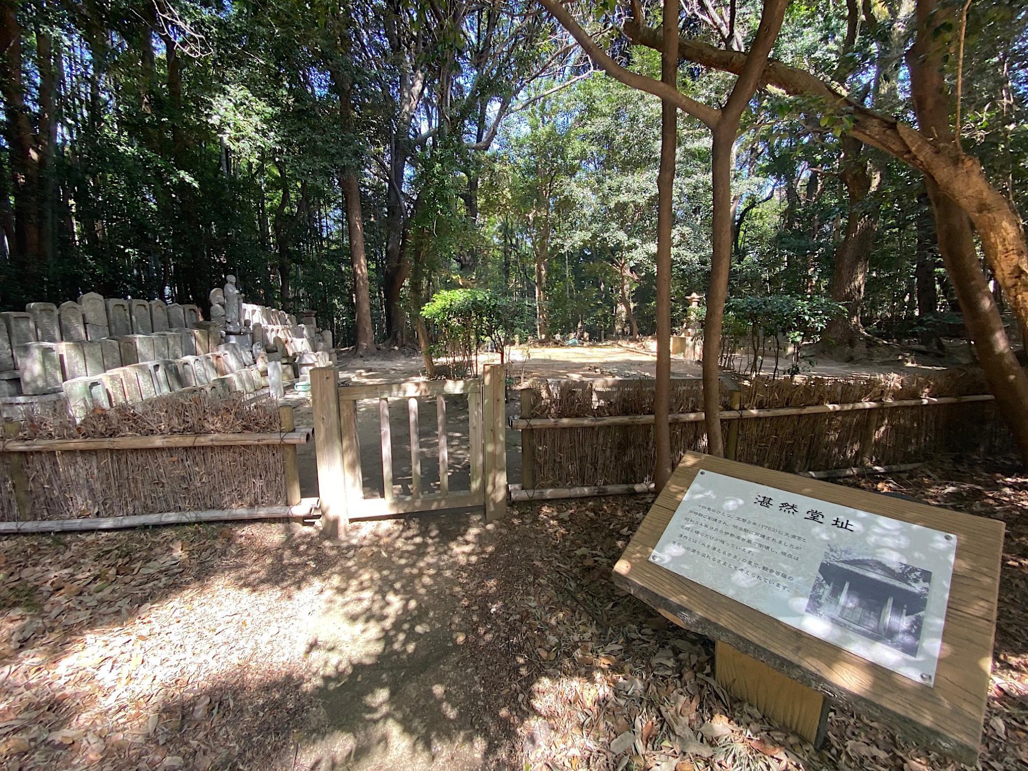 【名古屋市緑区】初夏に歩きたい名古屋の緑地・ハイキングコース|竹林が美しい旧名園「細根山緑地」(土庄雄平) エキスパート Yahooニュース