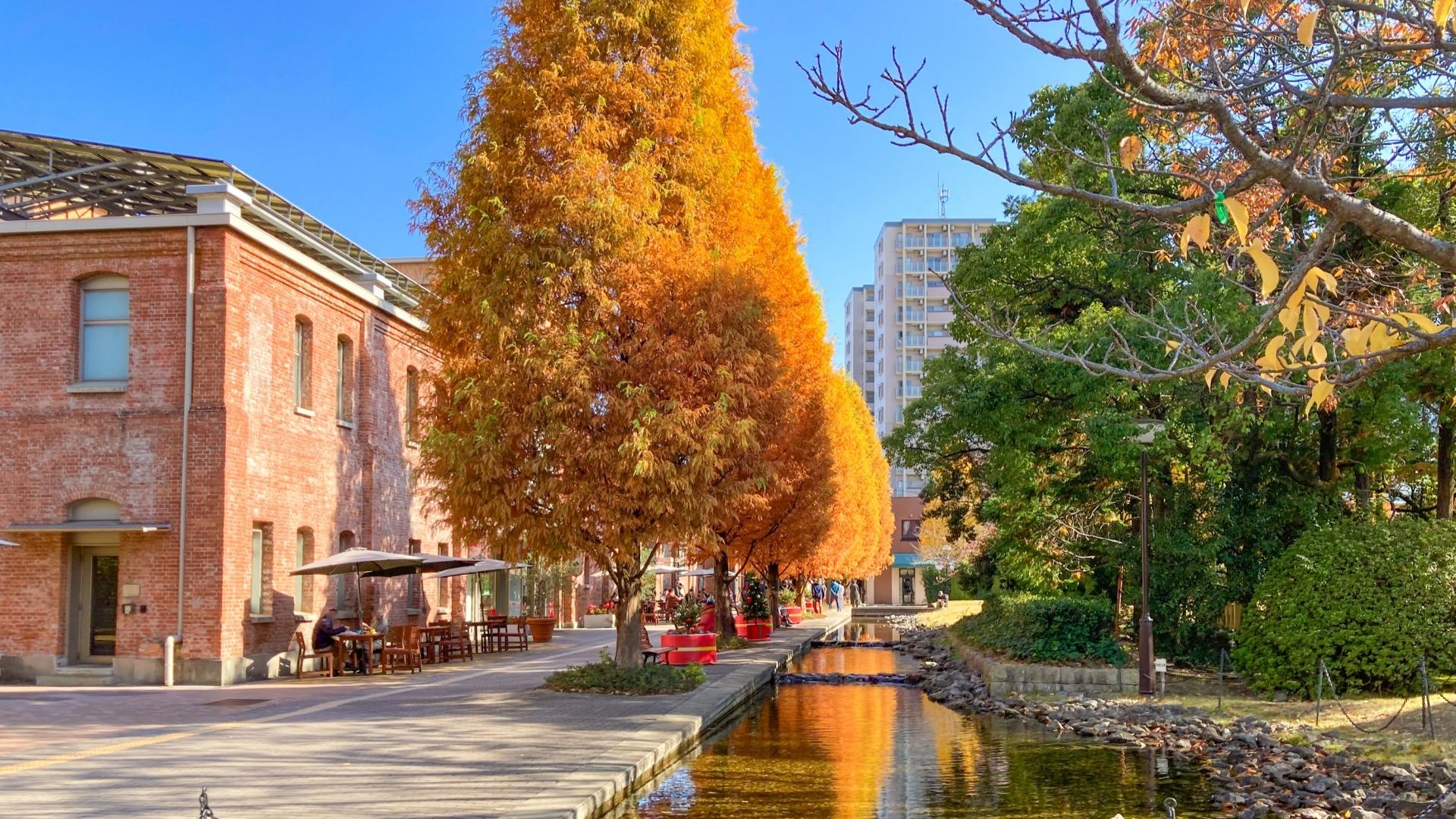 【名古屋市西区】秋に歩きたい散策スポット|赤レンガの建物と紅葉が共演する「ノリタケの森」(土庄雄平) エキスパート Yahooニュース