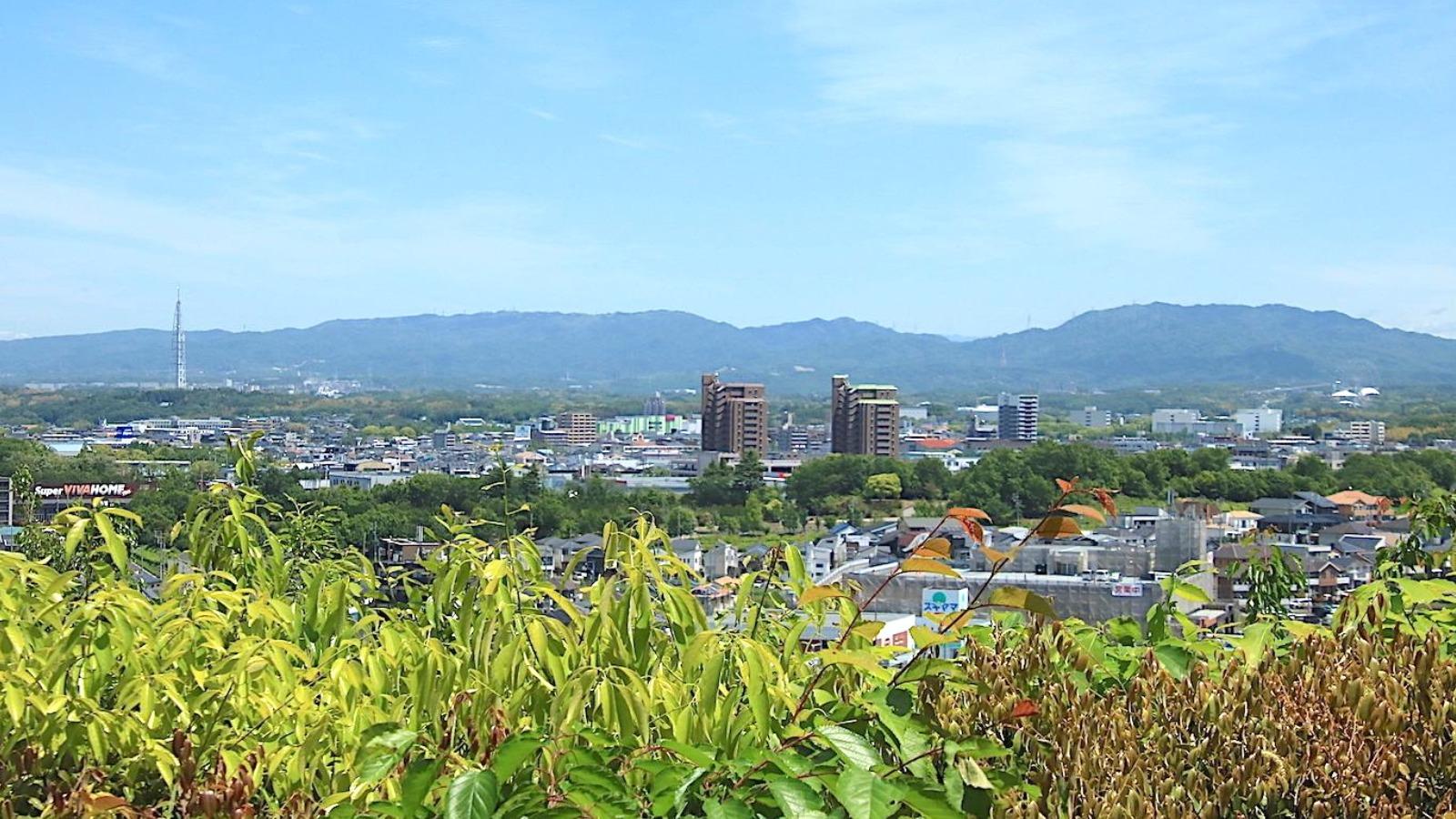 【名古屋市名東区】自然の循環を感じる。初夏の「猪高緑地」で里山歩き|名古屋のおすすめハイキング①(土庄雄平) エキスパート Yahoo