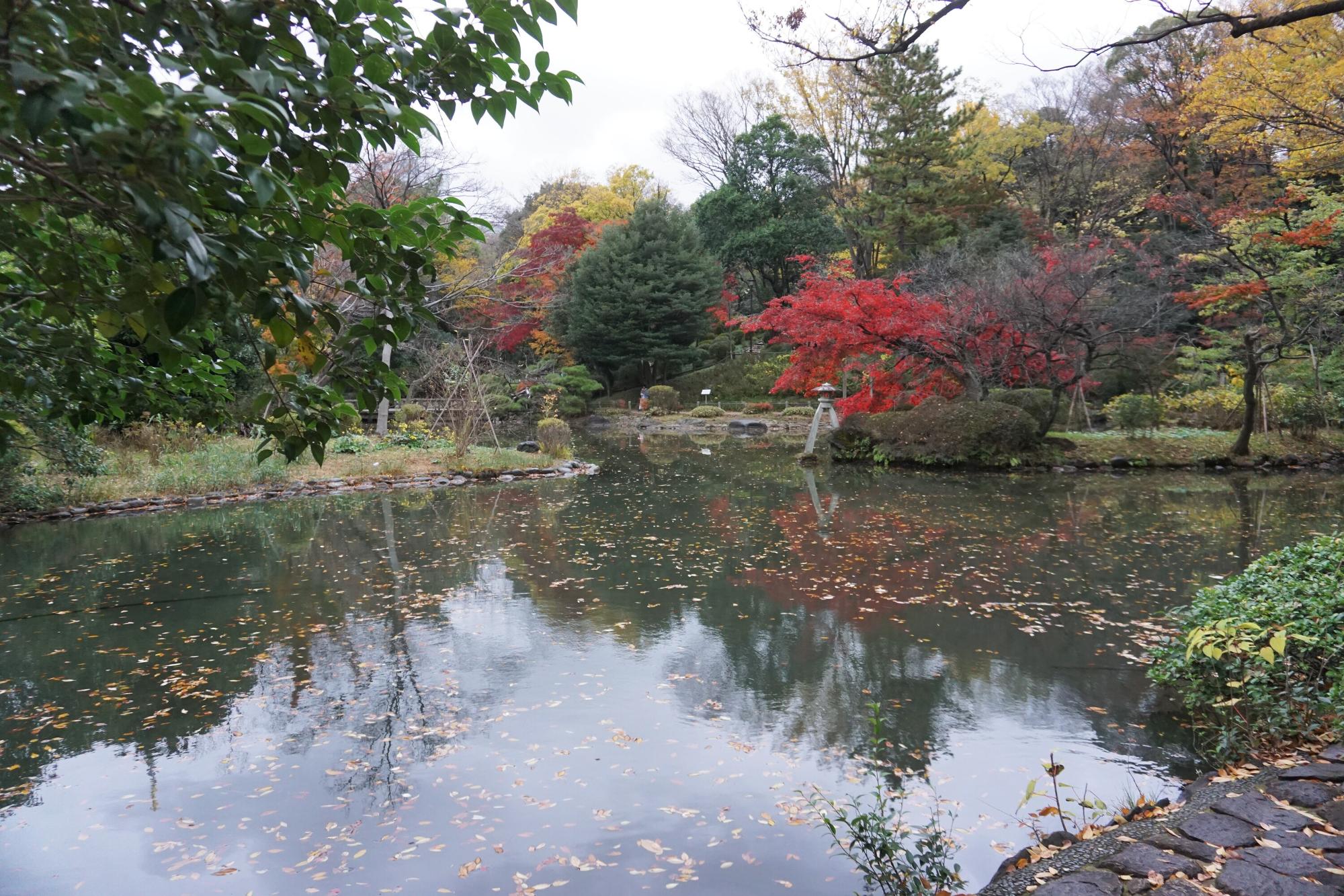 【新開店】モスのチーズバーガー専門店1号 mosh Grab'n Go広尾のレビュー（とらべるじゃーな！） - エキスパート - Yahoo!ニュース