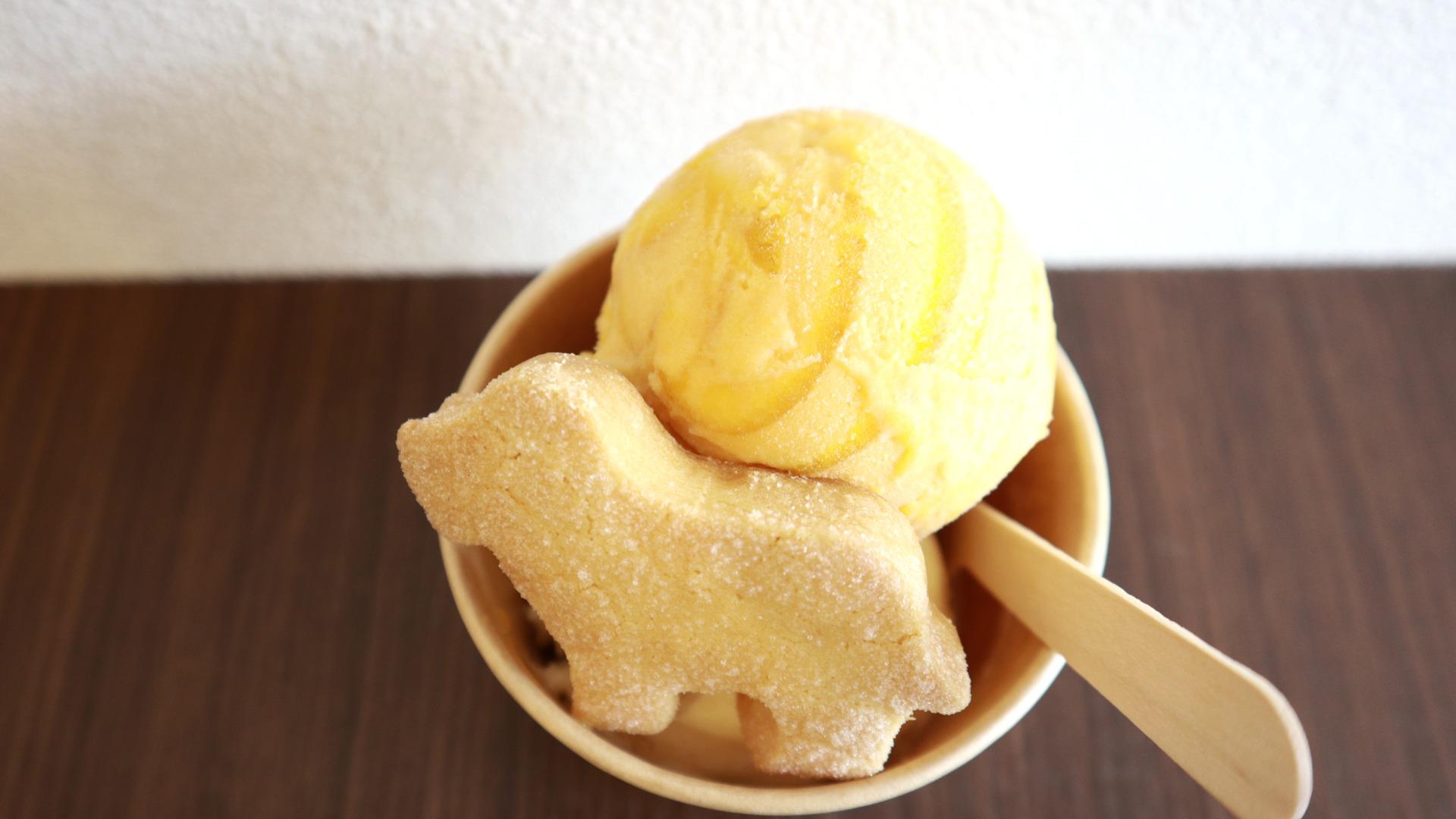落ち着いた古民家のようなカフェでいただく旬な食材を用いた身体いたわるランチ(とらぼう) エキスパート Yahooニュース