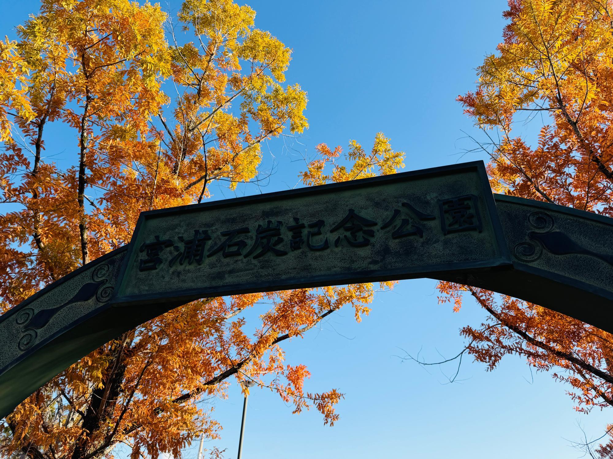 【大牟田市】2025年、大牟田の紅葉の見納め♪ 宮浦石炭記念公園の紅葉が見頃を迎えています♪（山本旅水堂） - エキスパート - Yahoo!ニュース