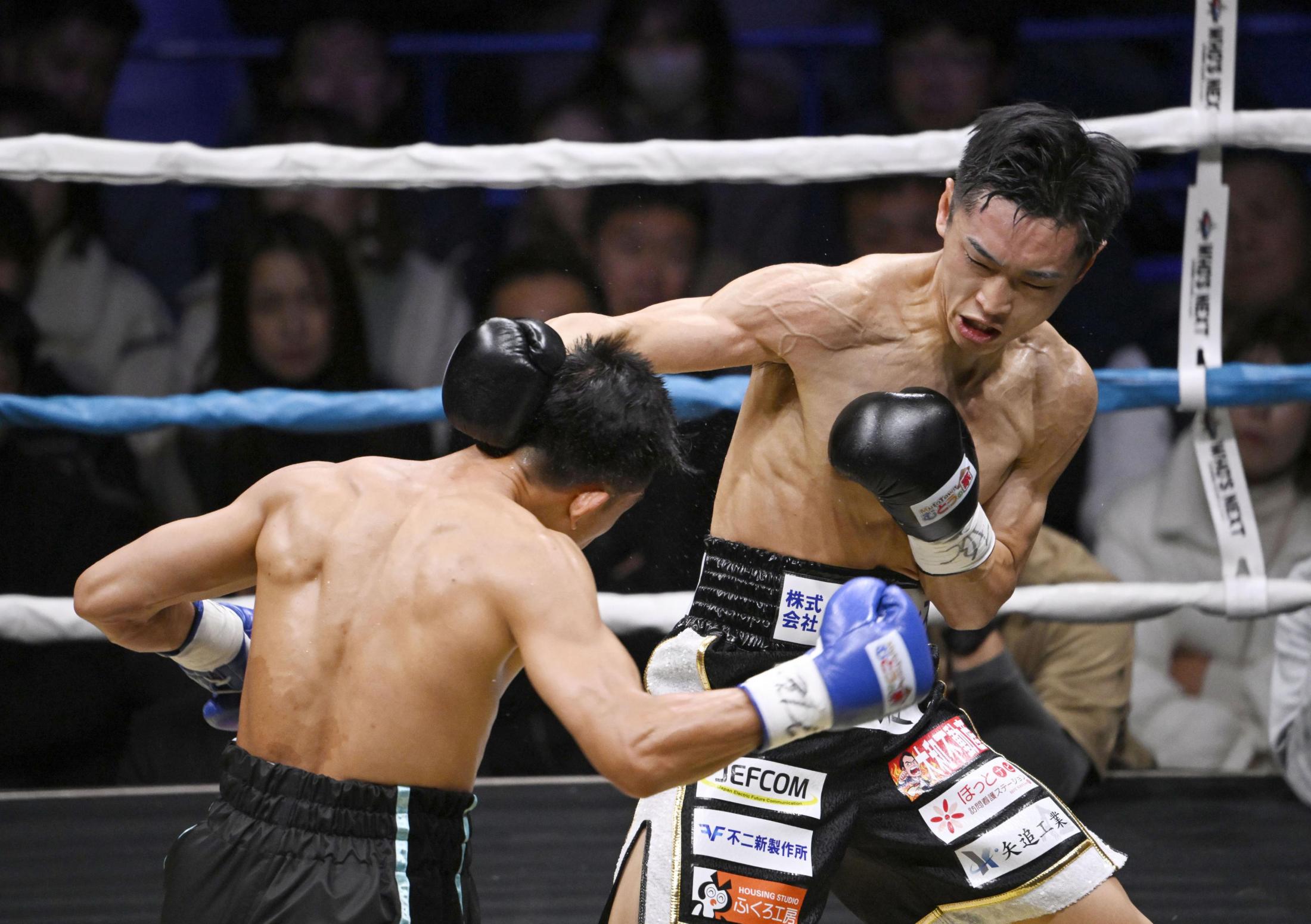 西田凌佑、7回KOで初防衛 IBFバンタム級世界戦（共同通信） - Yahoo!ニュース