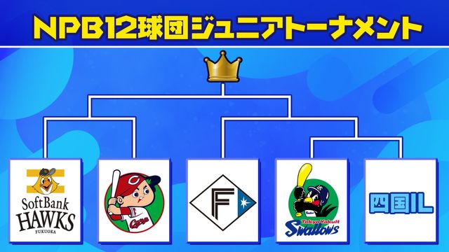 NPB12球団ジュニアトーナメント 5球団が決勝トーナメントに進出 日本ハム・ソフトバンク・広島・ヤクルト・四国IL（日テレNEWS NNN） - Yahoo!ニュース