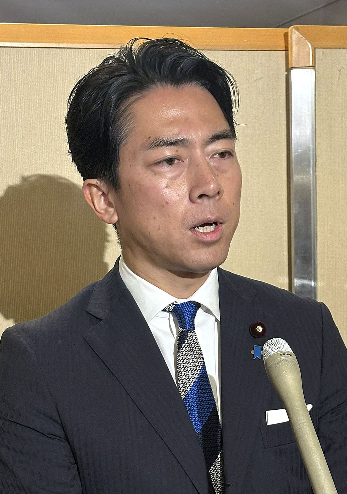 夫婦別姓、党議拘束除外を 自民小泉氏、法案採決時（共同通信） - Yahoo!ニュース