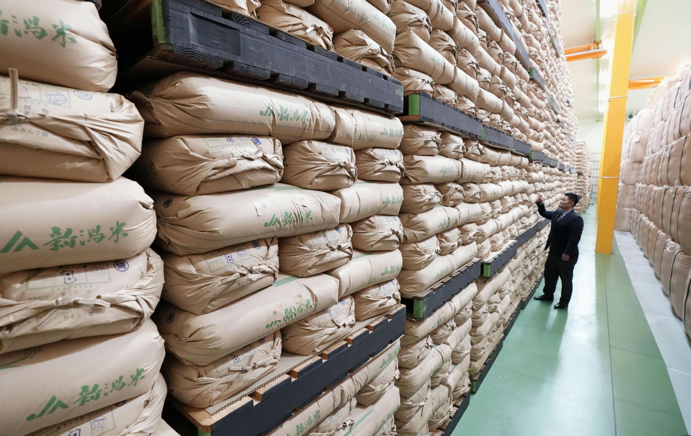 備蓄米、初回94％が落札 値下がり効果は限定的か（共同通信） - Yahoo!ニュース