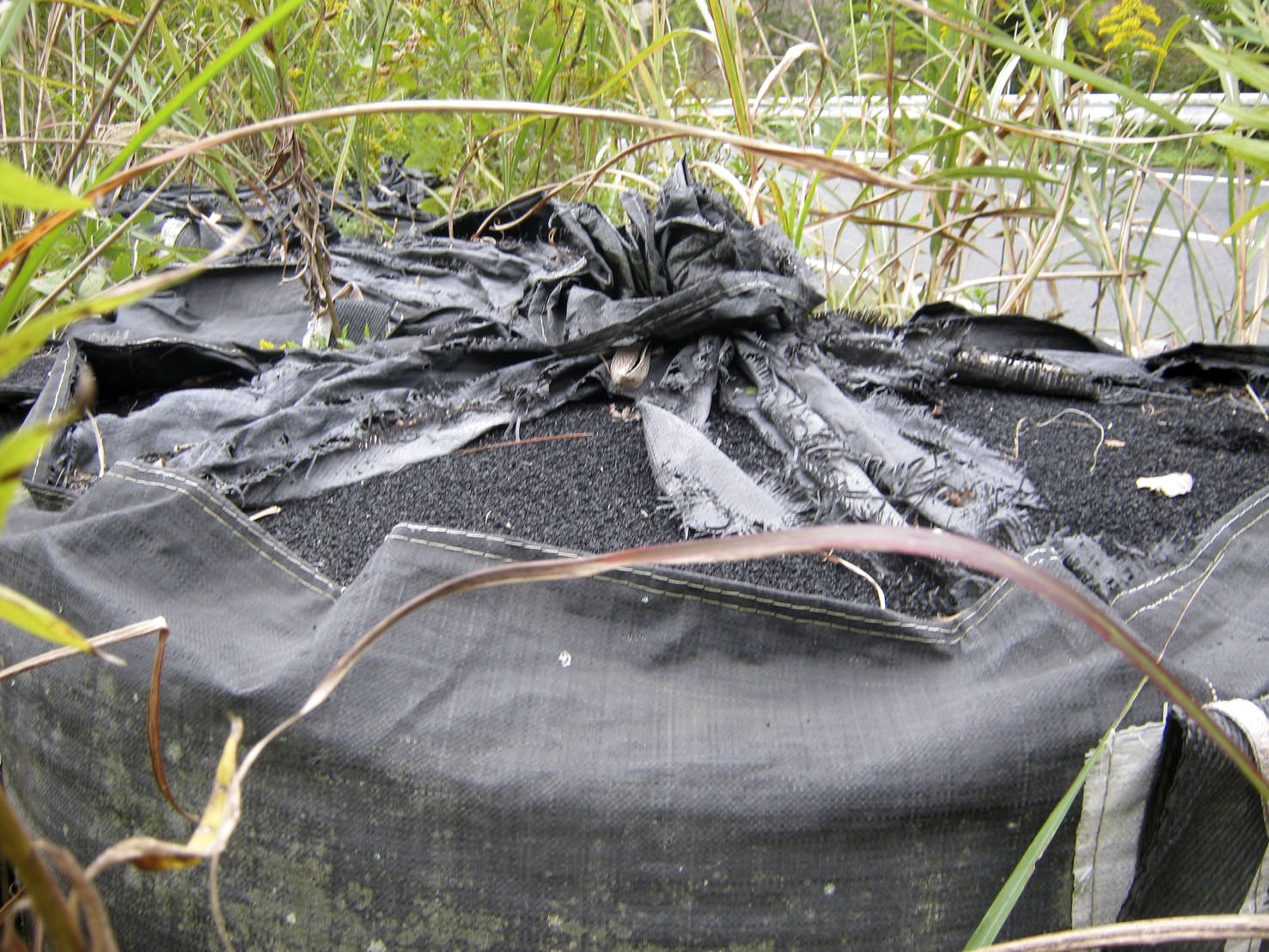 【独自】PFAS除去活性炭、適切処理を 環境省、都道府県などに通知へ（共同通信） - Yahoo!ニュース