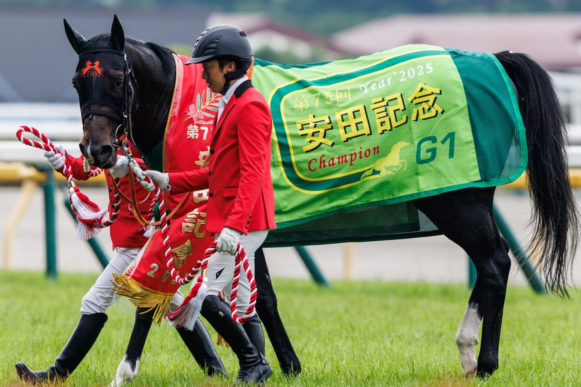 WIN5は75万円超の払戻し…安田記念はジャンタルマンタルが快勝（競馬のおはなし） - Yahoo!ニュース