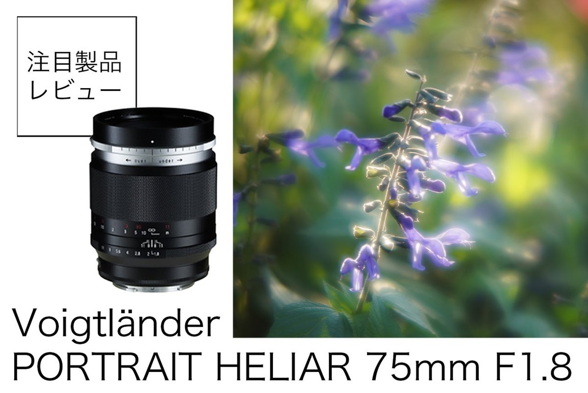 描写やボケを自在に操り堪能する。フォクトレンダー「PORTRAIT HELIAR 75mm F1.8」実写レビュー（PHILE WEB） - Yahoo!ニュース