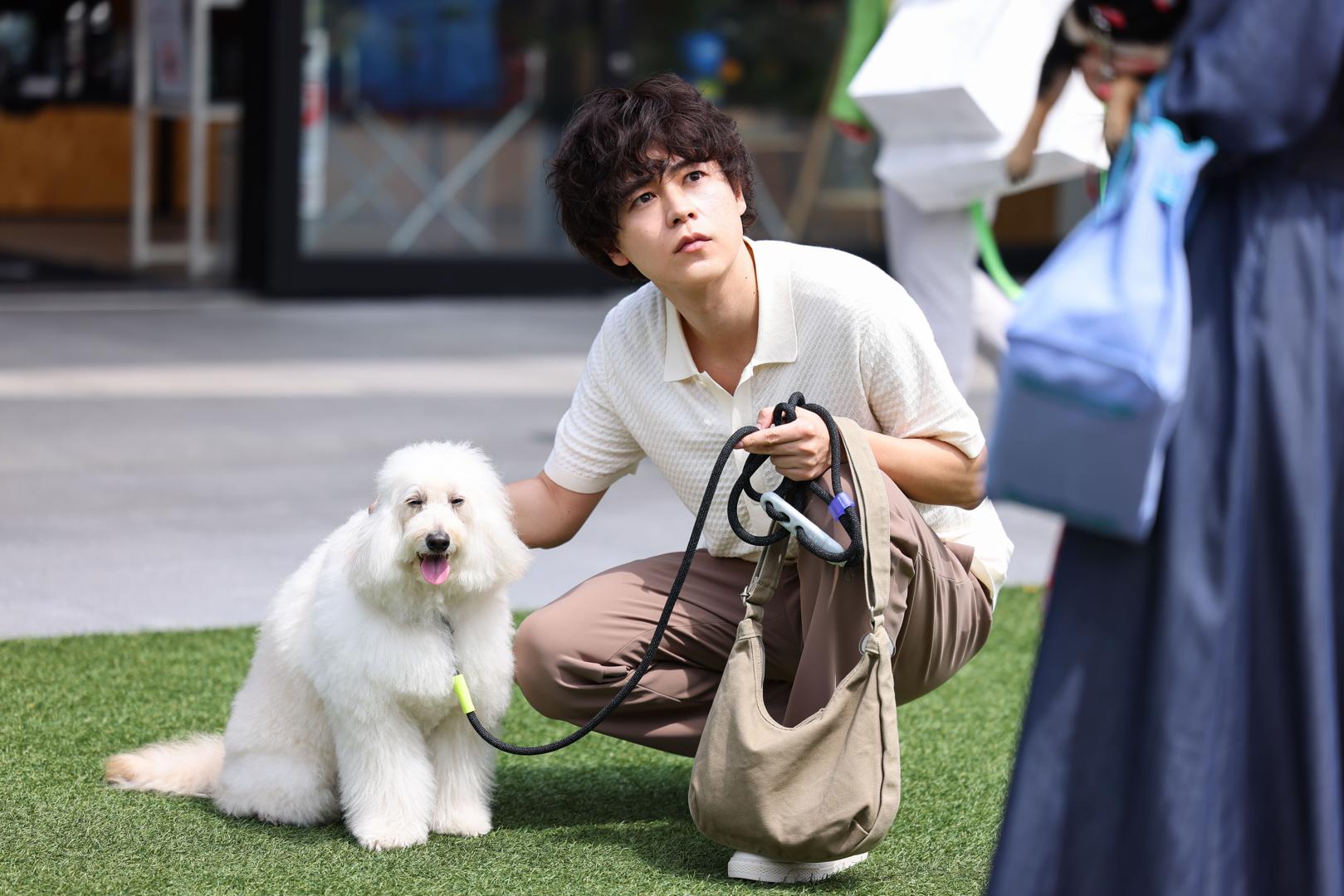 成田凌、TBS「初恋DOGs」でナ・イヌと共演“真剣に語り合える相手…日韓共同制作で新たな視点も”（Kstyle） - Yahoo!ニュース