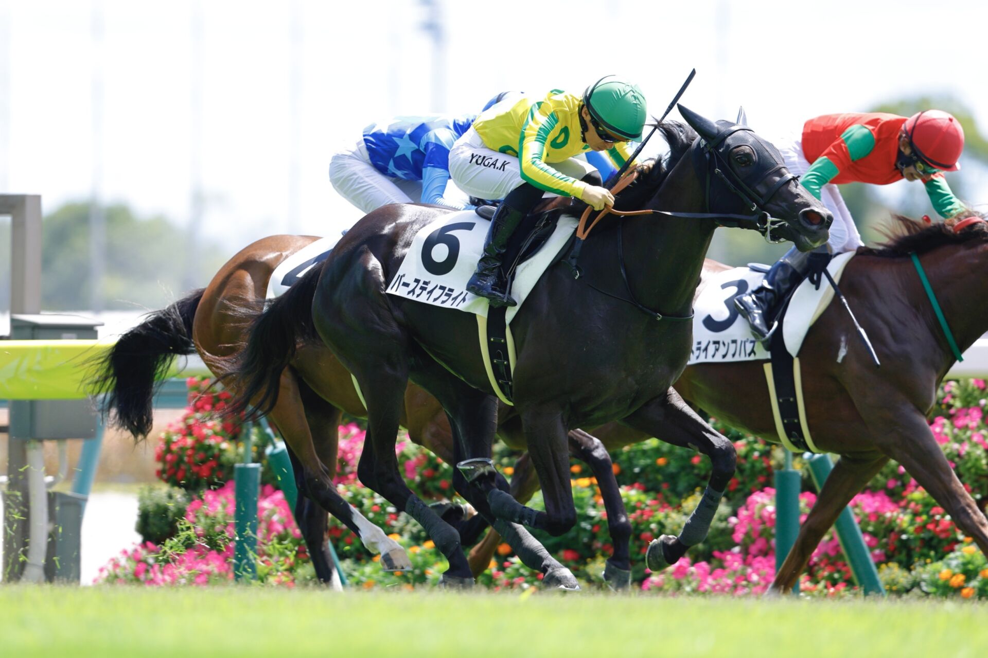 【中京3R】コントレイル産駒 バースデイフライトが初勝利（競馬のおはなし） - Yahoo!ニュース