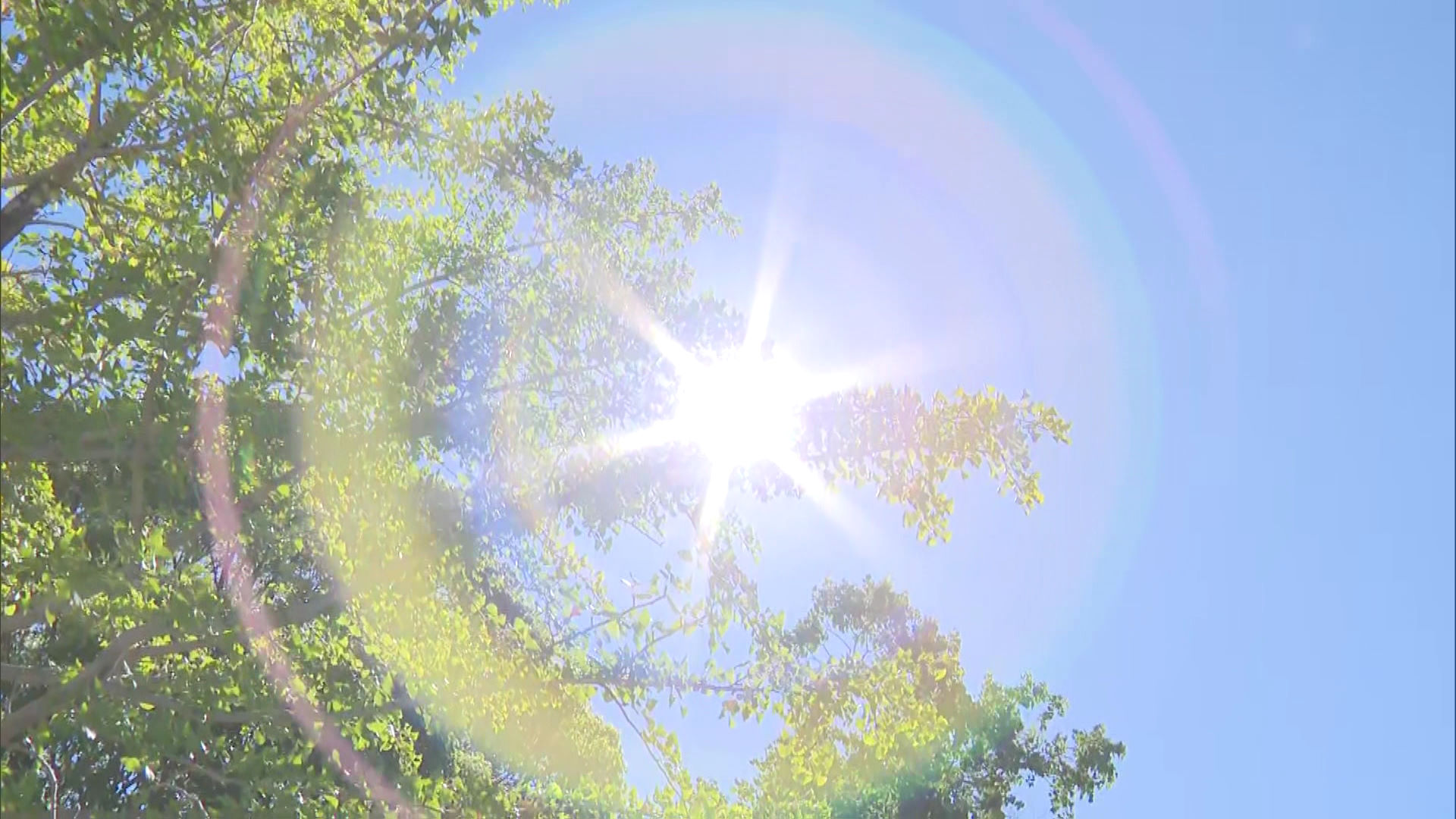 31日も厳しい暑さに 福岡県久留米市と大分県日田市で最高気温40℃の予想 佐賀市でも予想最高39℃ 熱中症に警戒を（RKB毎日放送） - Yahoo!ニュース