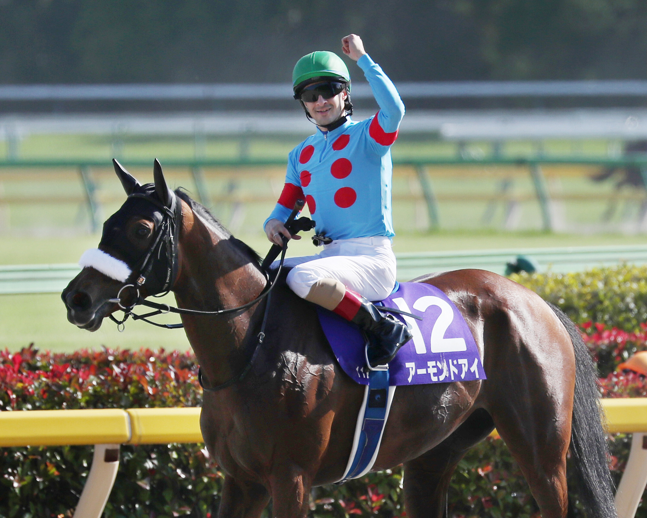 【JRA】アーモンドアイ2番子プロメサアルムンドがデビュー戦で勝利！SNS上では「母を彷彿とさせる」の声も（スポーティングニュース日本版） - Yahoo!ニュース