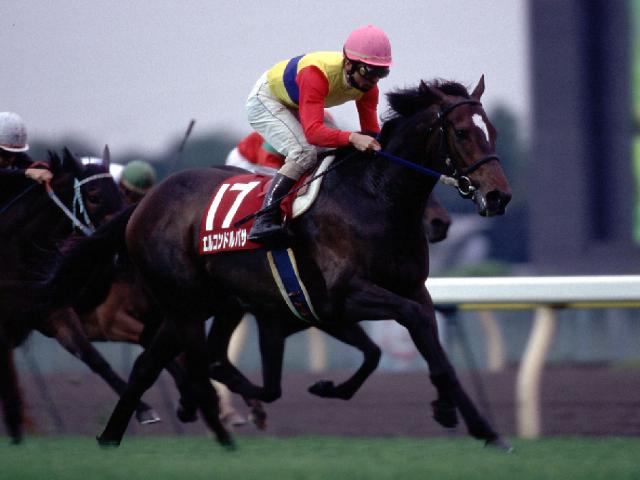 キングマンボ×サドラーズウェルズの最初の成功例 JRA顕彰馬にも選出された名馬「エルコンドルパサー」（netkeiba） - Yahoo!ニュース