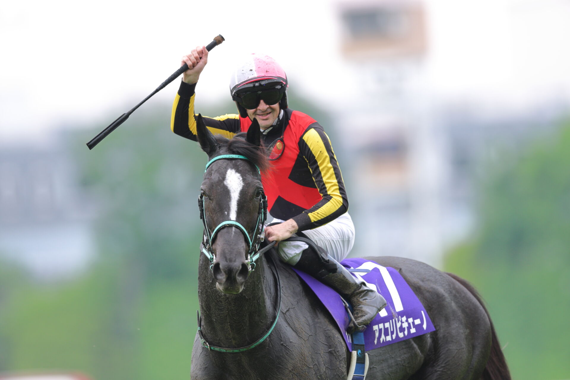 【仏ジャックルマロワ賞】日本勢2頭が挑むフランスG1…JRAが馬券発売へ（競馬のおはなし） - Yahoo!ニュース