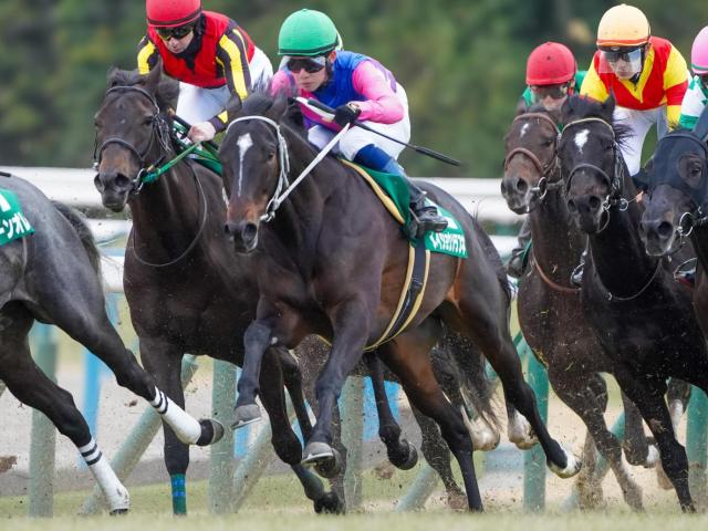 CBC賞は雨中の戦いか!? メイショウソラフネが高配提供だ（netkeiba） - Yahoo!ニュース