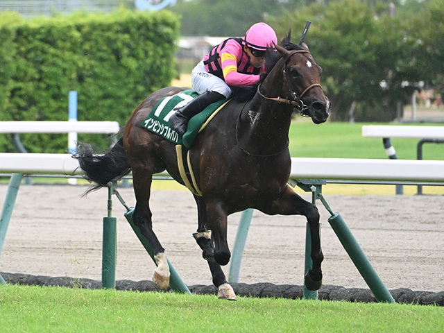 【JRA・WIN5】本日のWIN5は的中285票、配当162万9640円（netkeiba） - Yahoo!ニュース