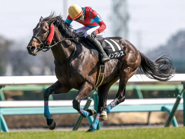 【新潟JS予想オッズ】インプレスが予想1番人気（netkeiba） - Yahoo!ニュース