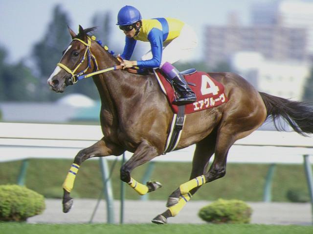 「あなたの思い出の札幌記念は？」 名勝負からダート時代までさまざまな声（netkeiba） - Yahoo!ニュース