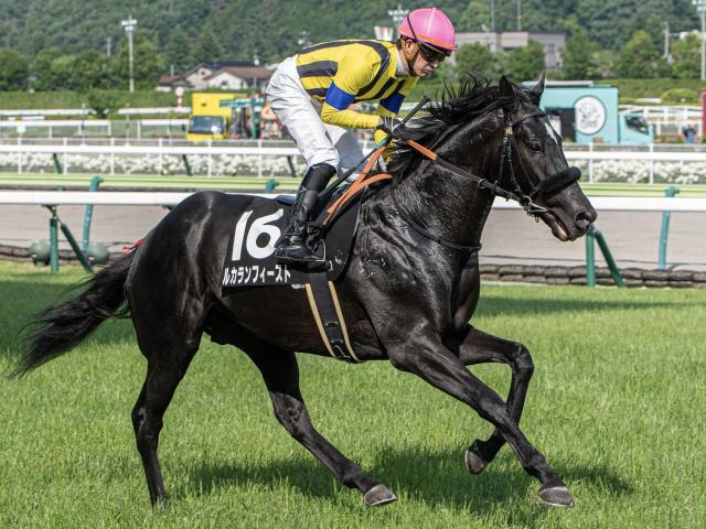 札幌芝はパワー型を狙え WASJ第2戦は道悪巧者のルカランフィーストに注目（netkeiba） - Yahoo!ニュース