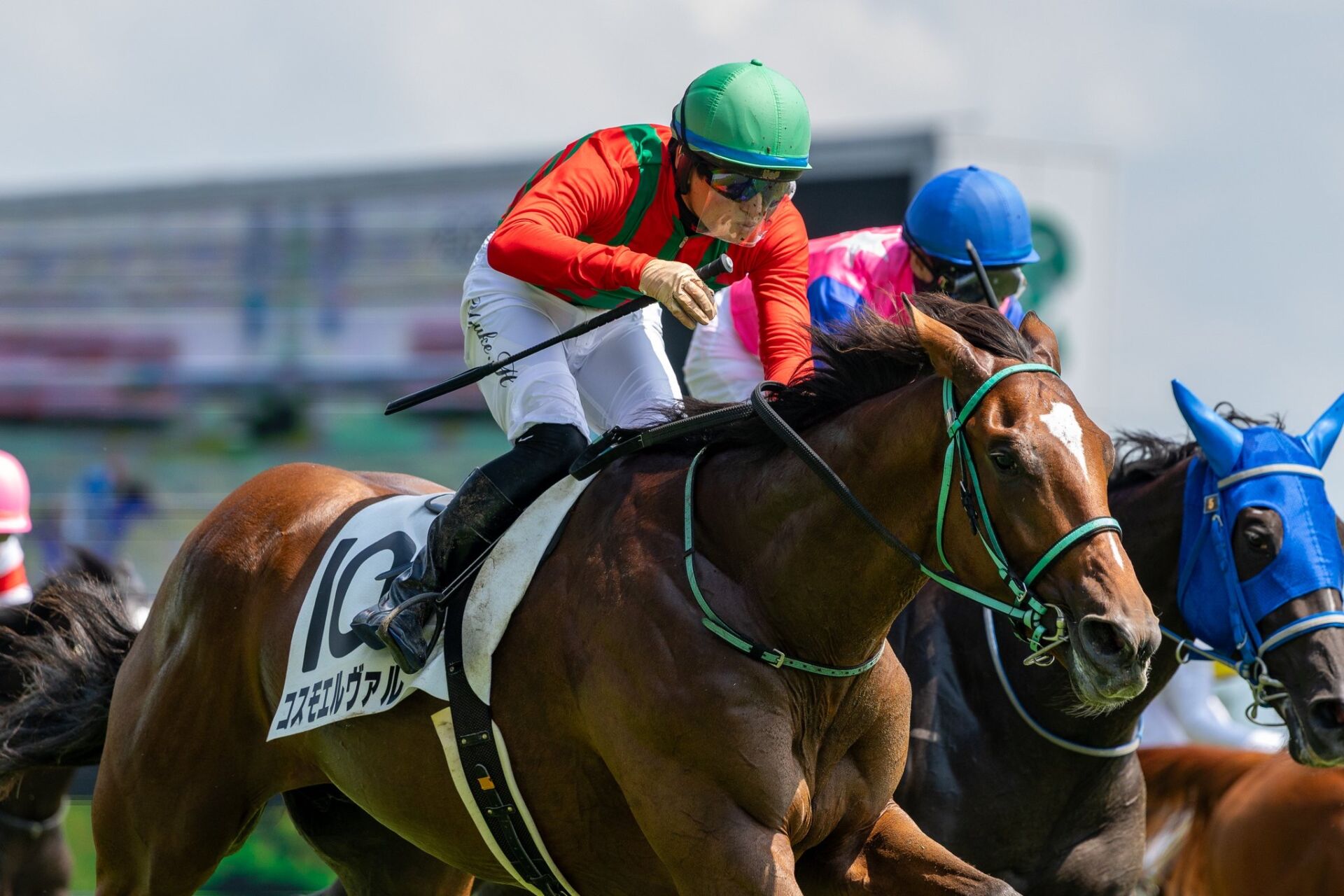 【新馬/新潟5R】コスモエルヴァルVで原優介騎手はJRA通算100勝達成（競馬のおはなし） - Yahoo!ニュース