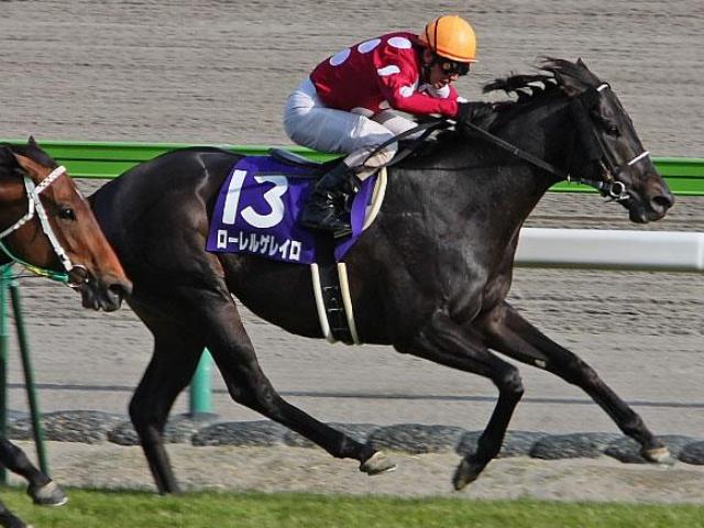 いとこにGI・2勝のローレルゲレイロ ブッチギレが初陣をぶっちぎるか（netkeiba） - Yahoo!ニュース