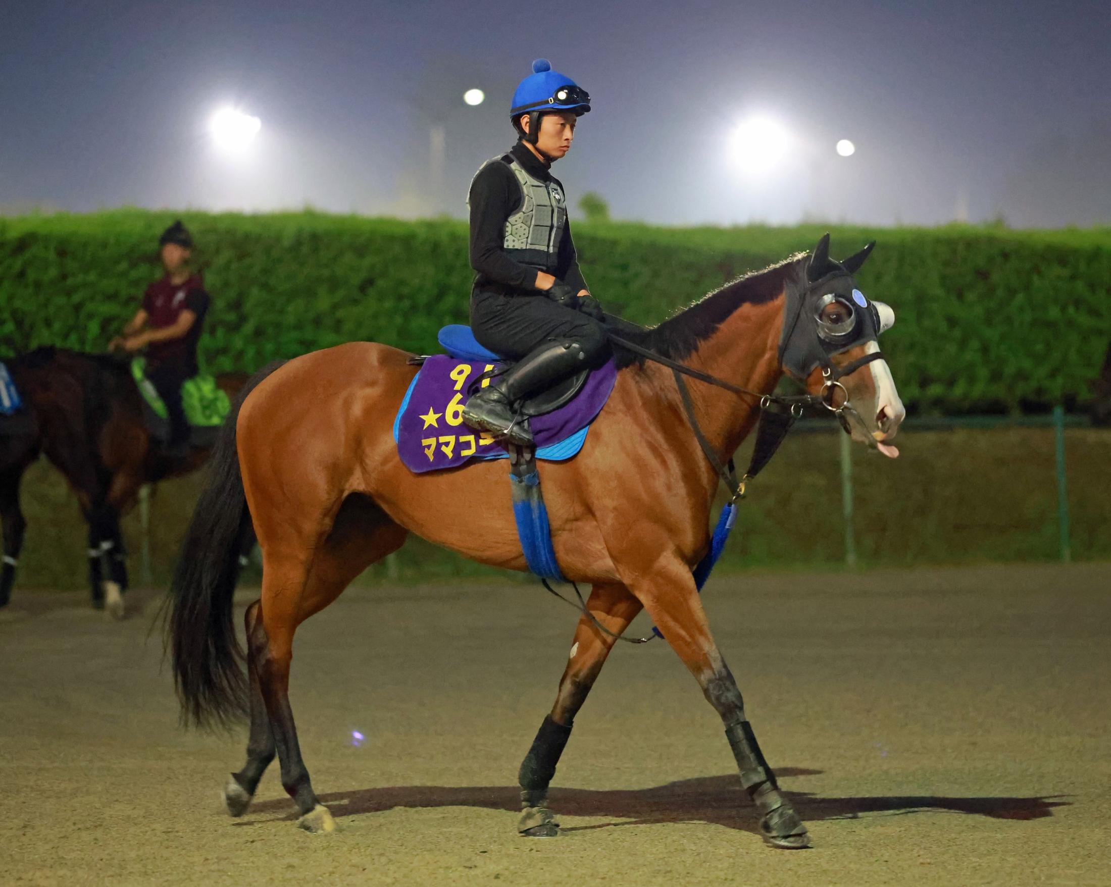 【阪神＆中山の危険な人気馬】ママコチャ 阪神11R・セントウルS（デイリースポーツ） - Yahoo!ニュース